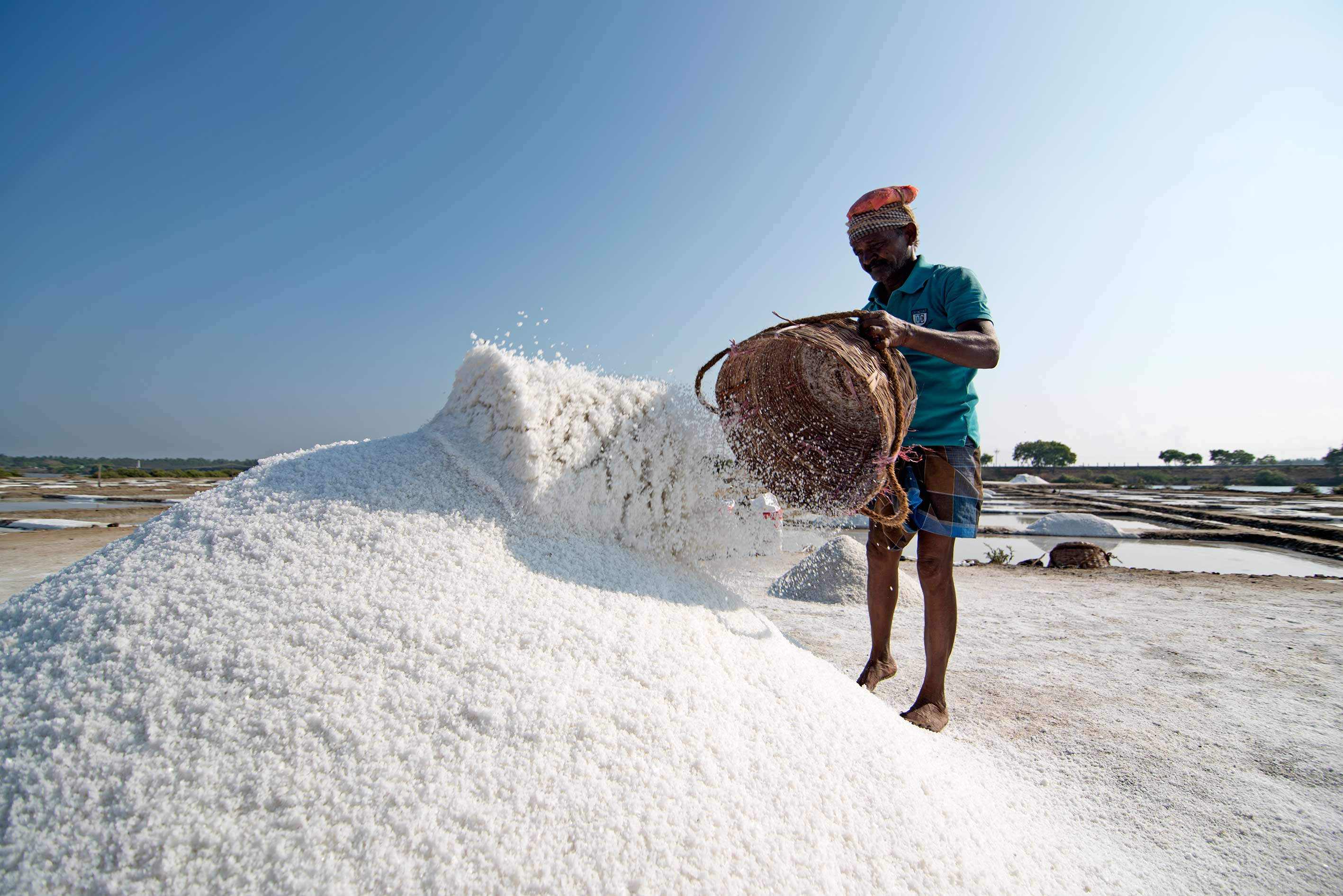 In Search of White Gold: Salt Harvesting at Marakkanam | Sahapedia