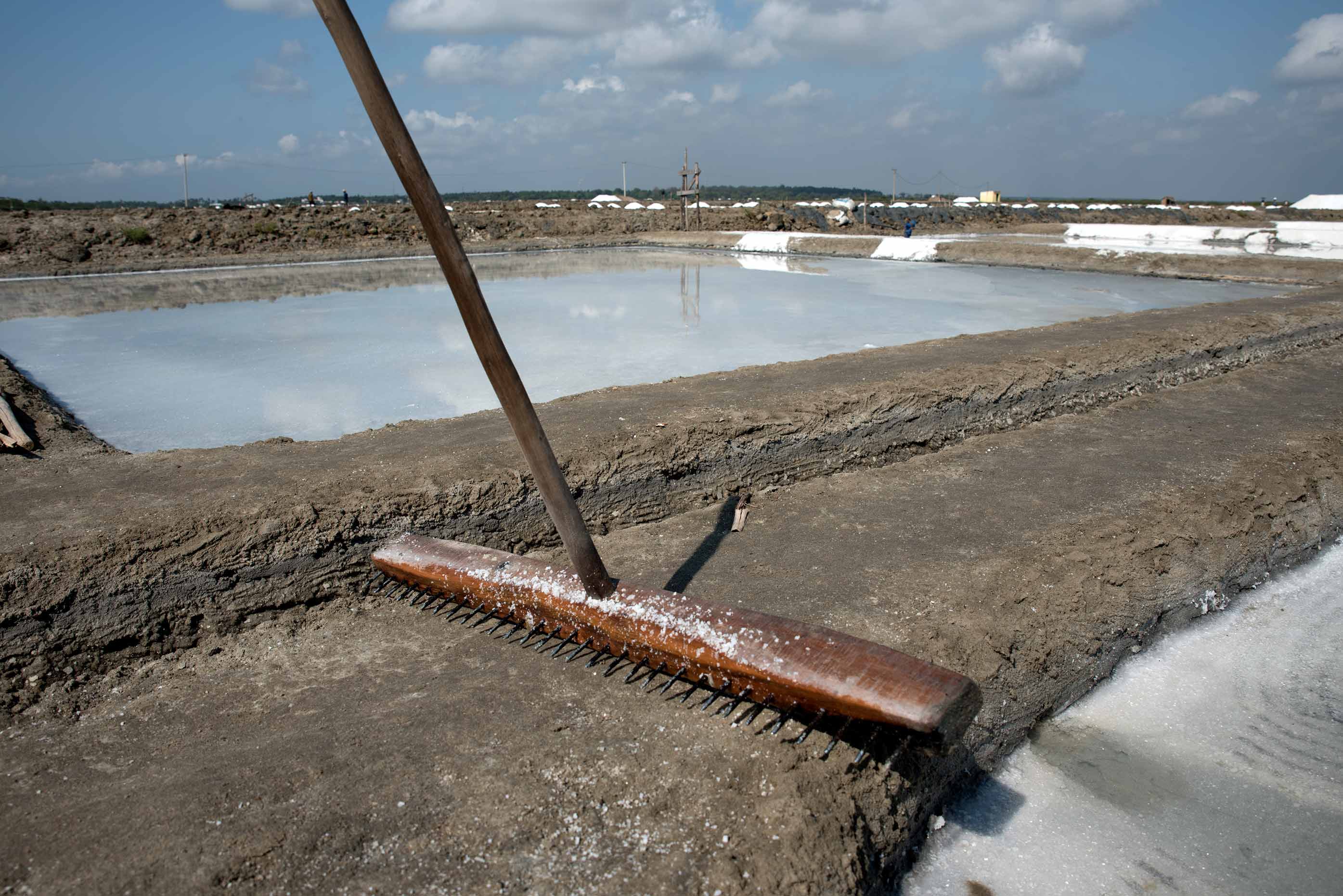 In Search of White Gold: Salt Harvesting at Marakkanam | Sahapedia