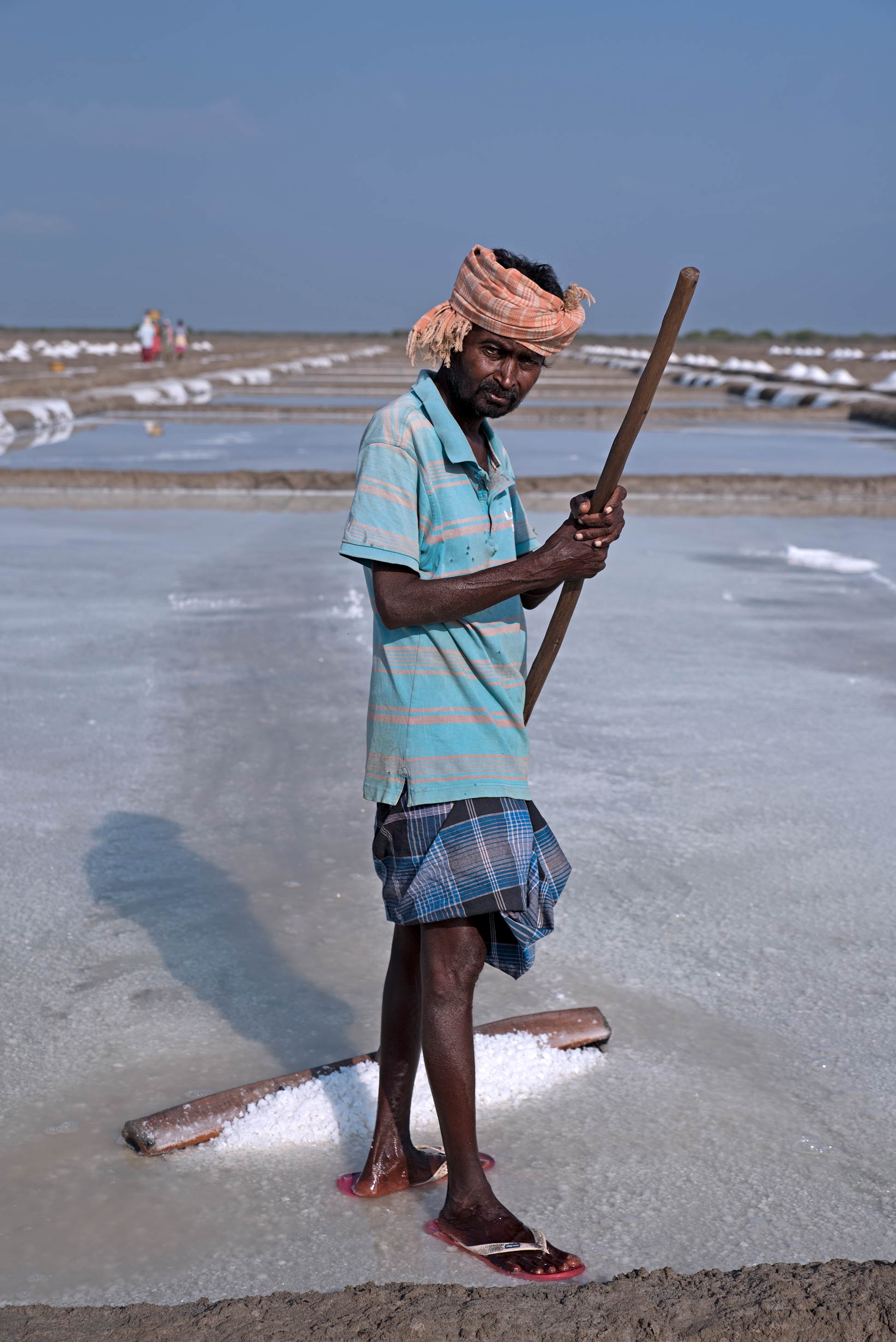 In Search of White Gold: Salt Harvesting at Marakkanam | Sahapedia