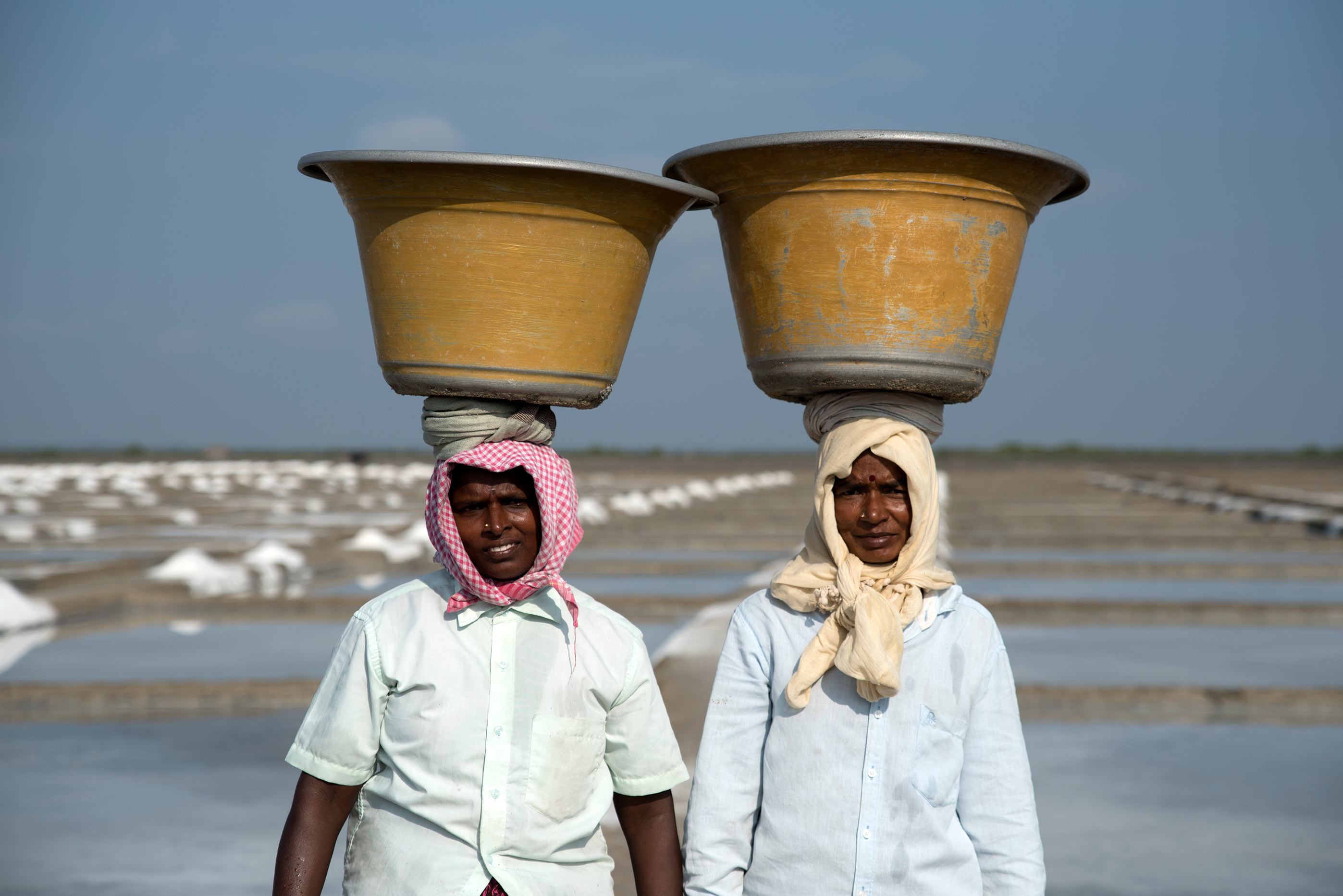 In Search of White Gold: Salt Harvesting at Marakkanam | Sahapedia