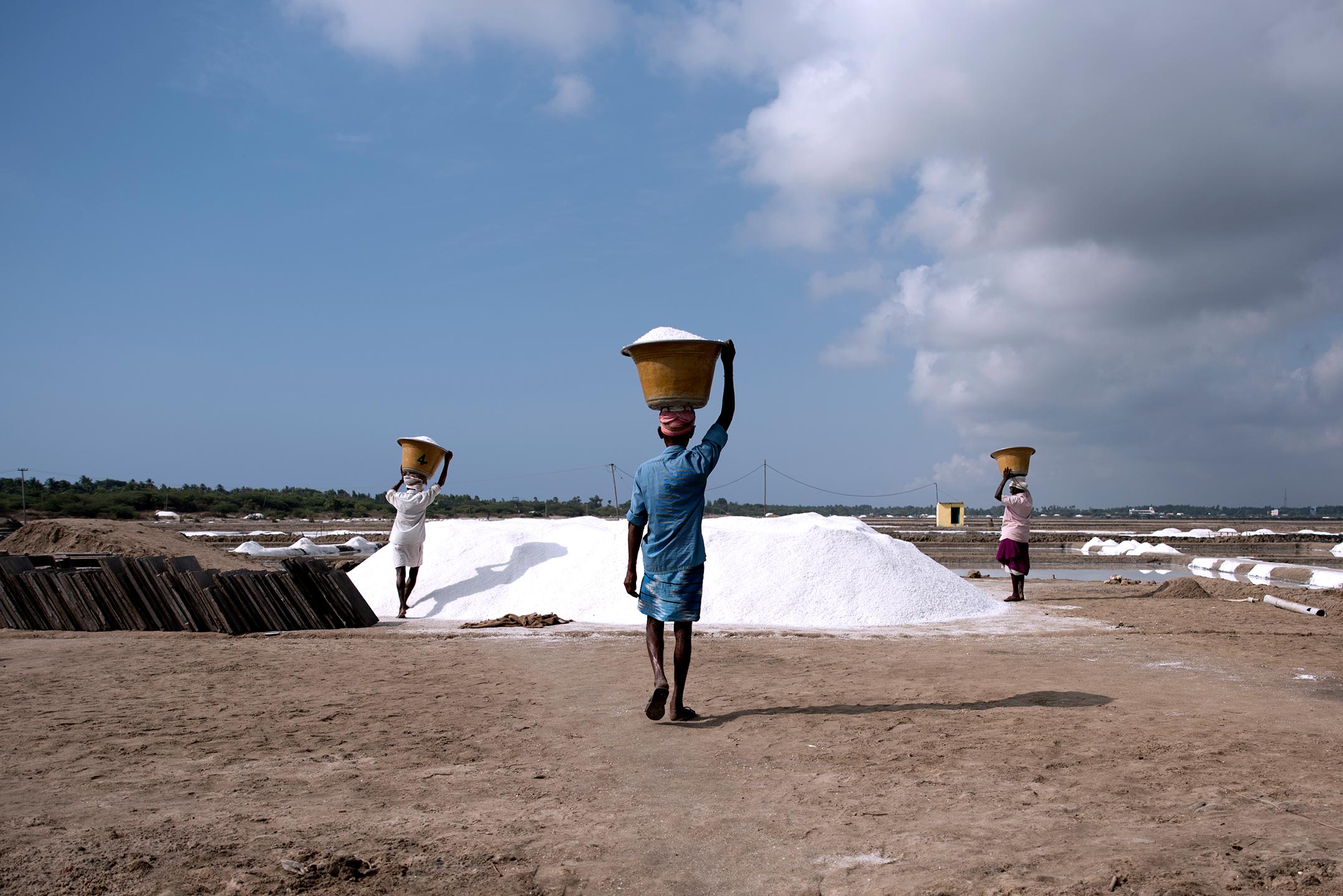 In Search of White Gold: Salt Harvesting at Marakkanam | Sahapedia