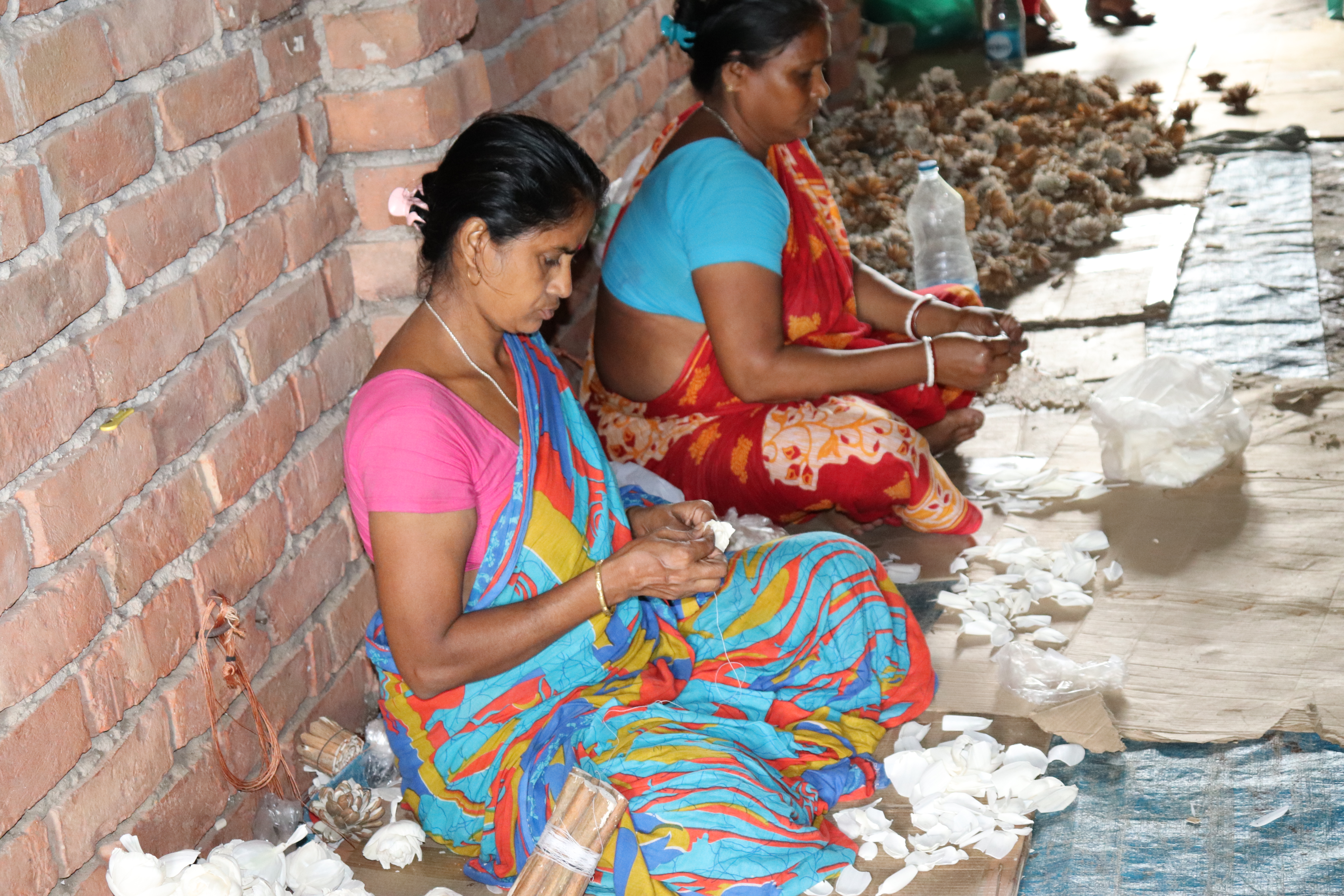 Sholapith: A Visual Guide | Sahapedia