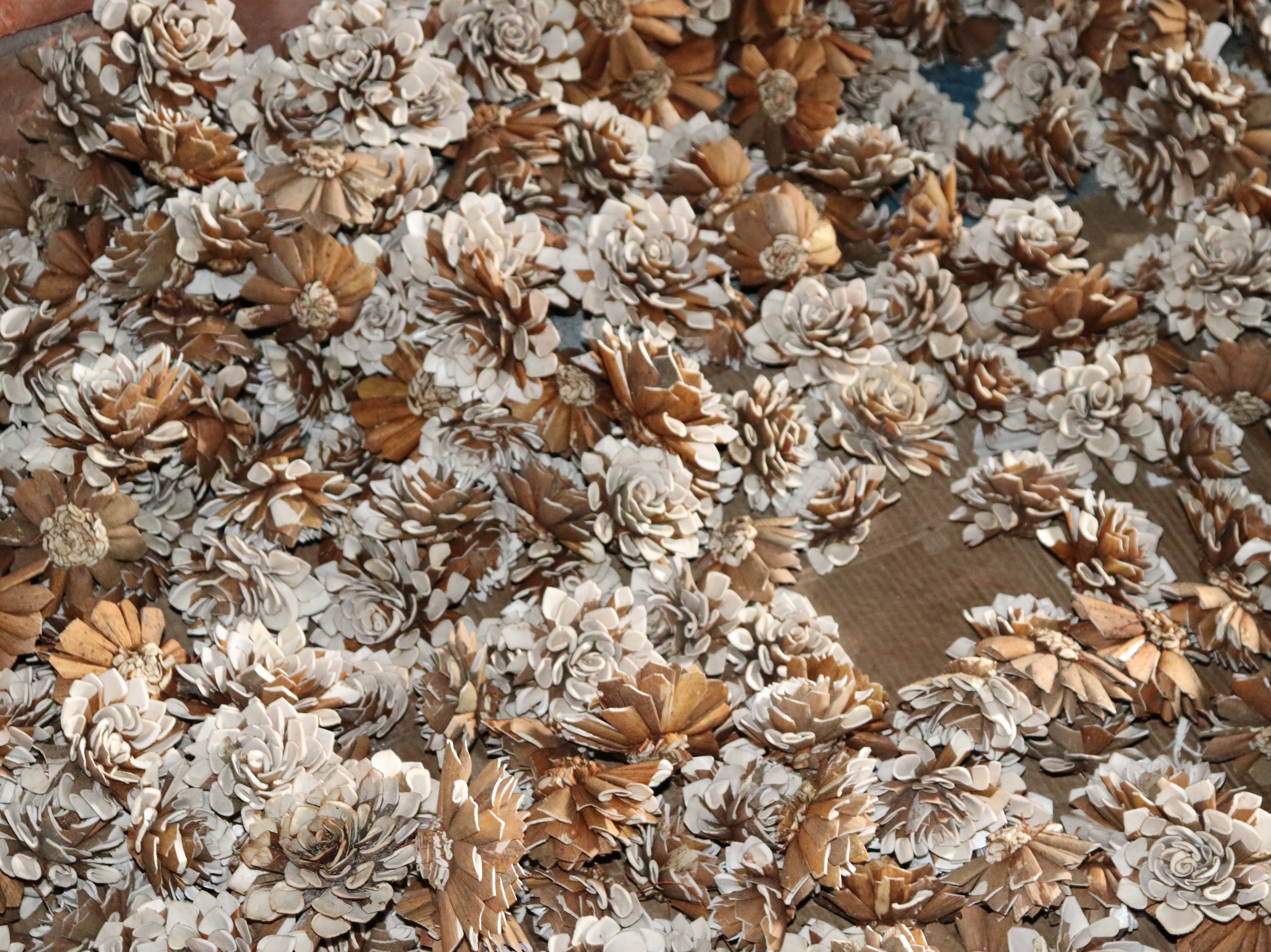 Sholapith: A Visual Guide | Sahapedia