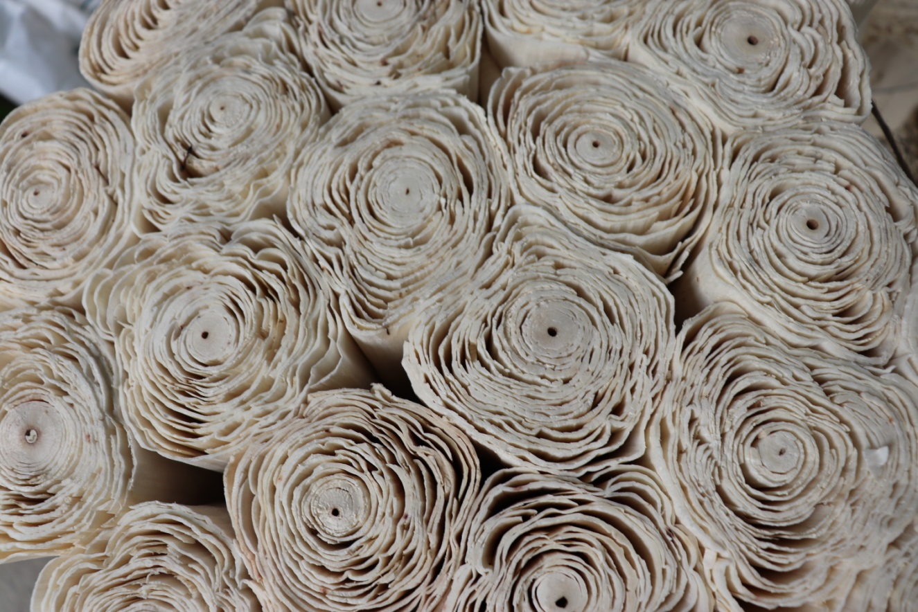 Sholapith: A Visual Guide | Sahapedia