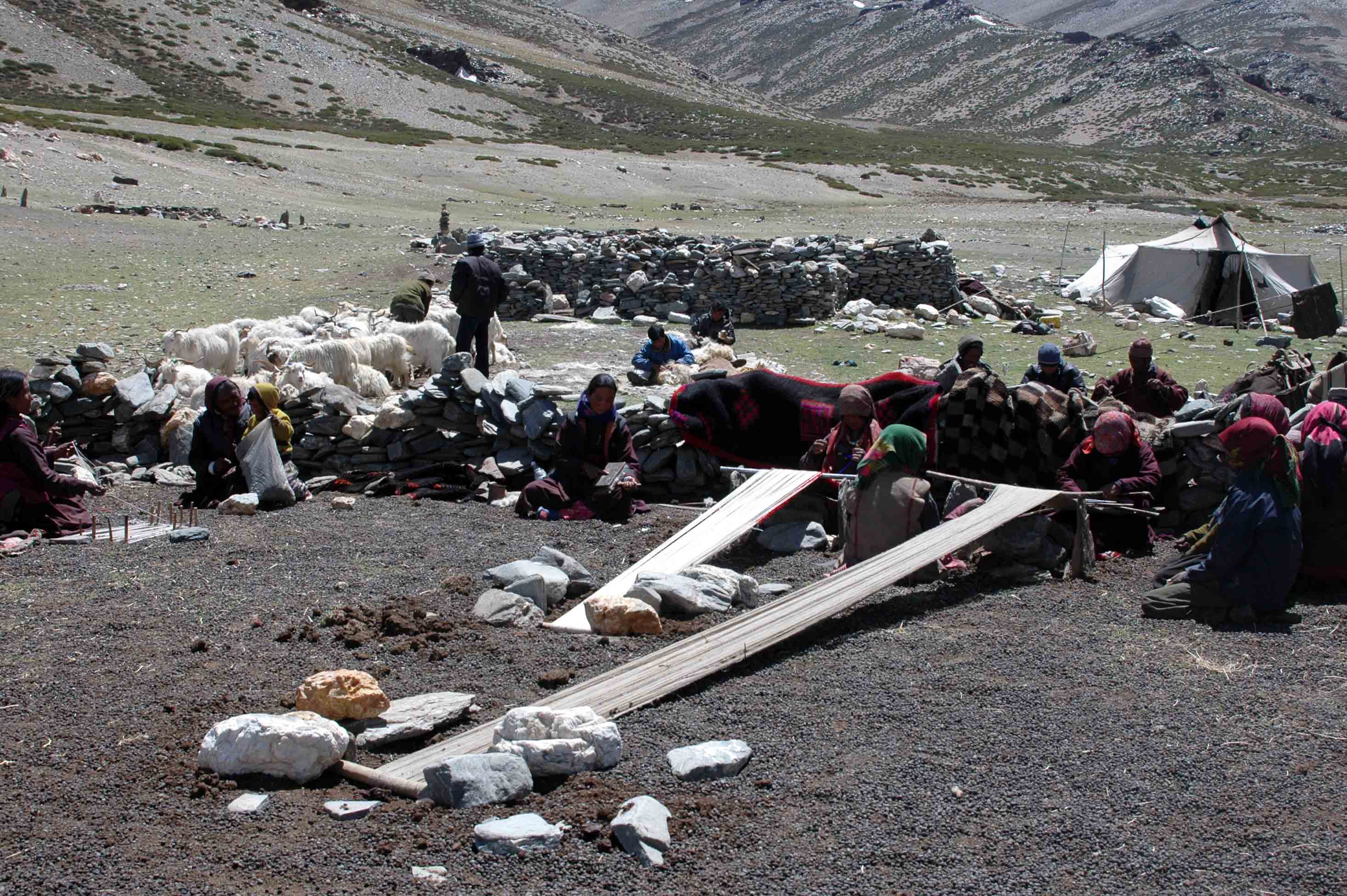 Textile Production among the Nomadic Pastoralists of Ladakh | Sahapedia