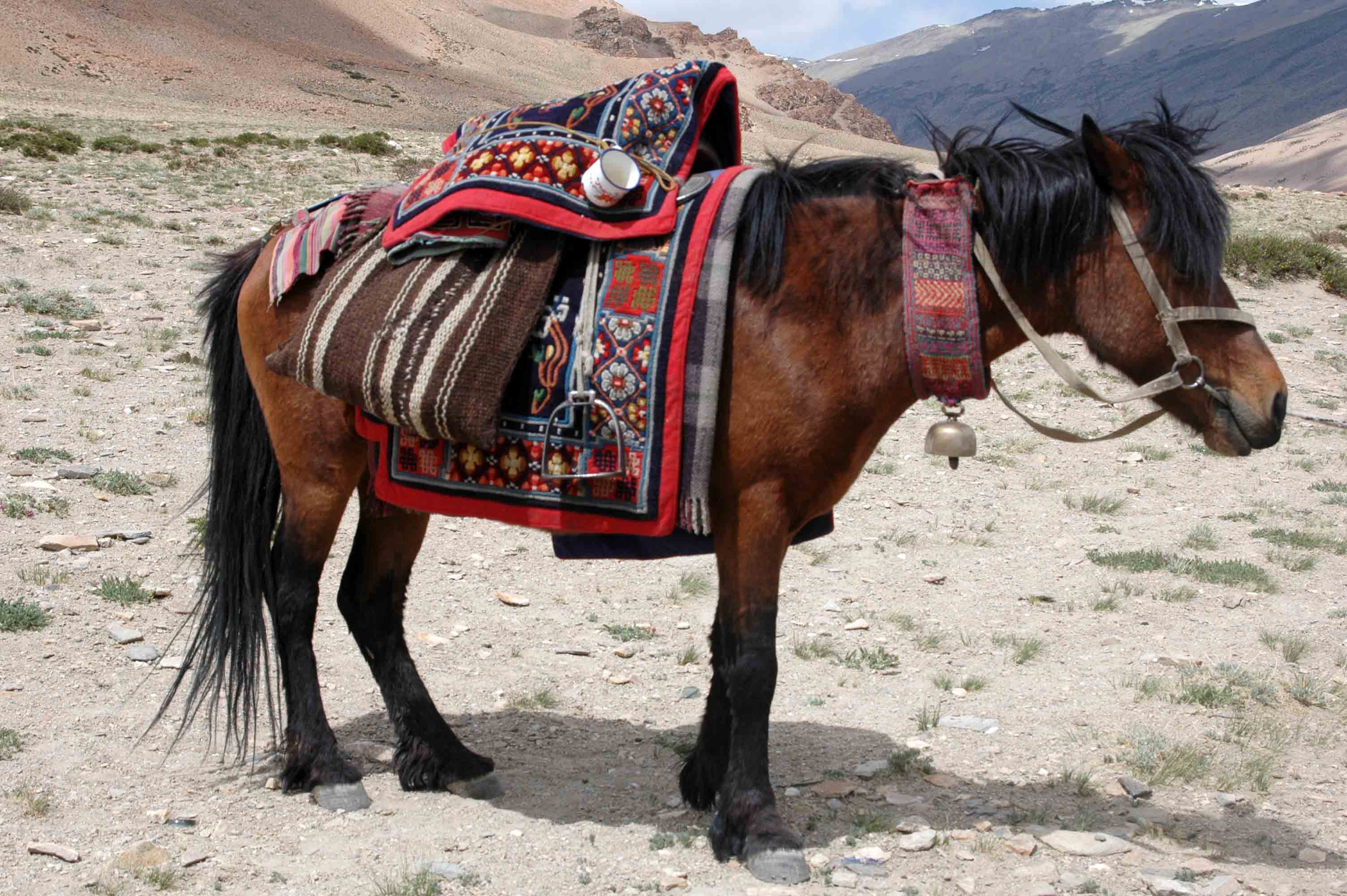 Textile Production among the Nomadic Pastoralists of Ladakh | Sahapedia