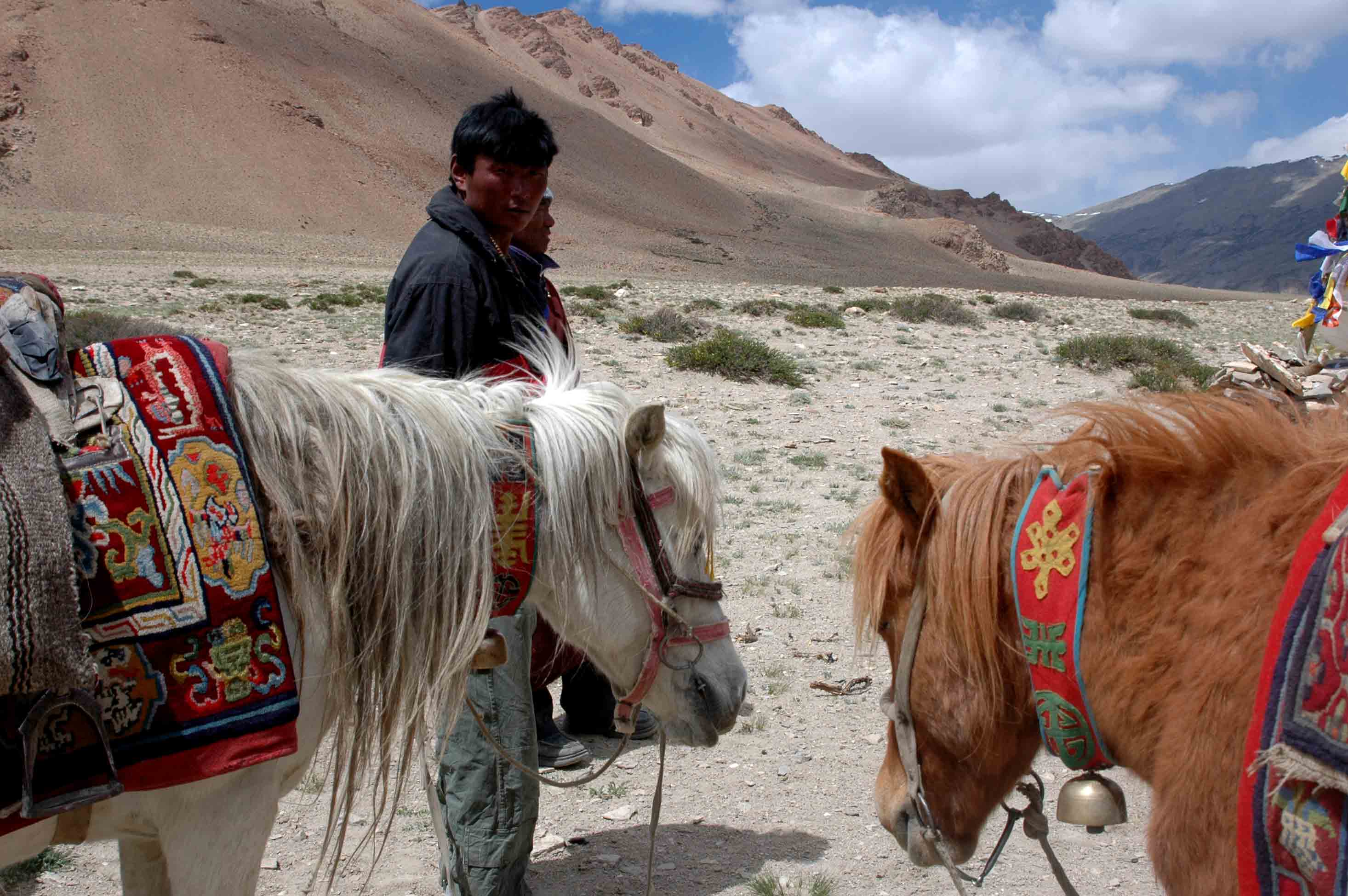 Textile Production among the Nomadic Pastoralists of Ladakh | Sahapedia