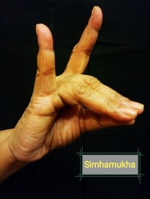 Asamyukta Mudra: Single Handed Gestures | Sahapedia