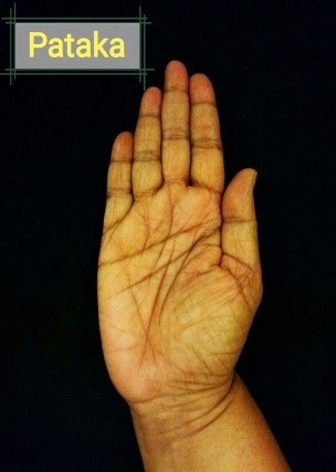 Asamyukta Mudra: Single Handed Gestures | Sahapedia