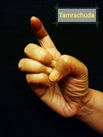 Asamyukta Mudra: Single Handed Gestures | Sahapedia