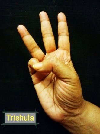 Asamyukta Mudra: Single Handed Gestures | Sahapedia
