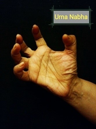 Asamyukta Mudra: Single Handed Gestures | Sahapedia
