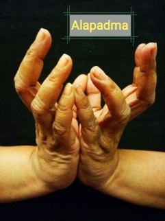 Samyukta Mudra: Double Handed Gestures | Sahapedia