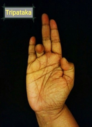 Asamyukta Mudra: Single Handed Gestures | Sahapedia