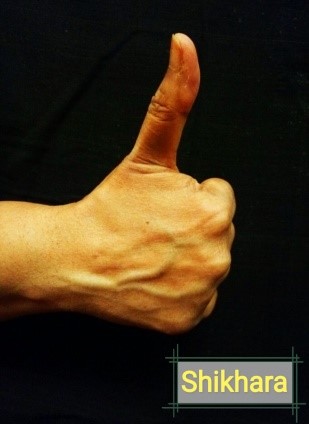 Asamyukta Mudra: Single Handed Gestures | Sahapedia