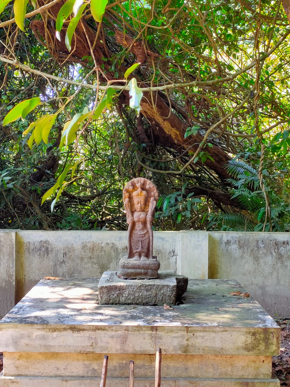 Sarppakalam and Snake Dance: Kerala’s Age-Old Tradition of Serpent ...