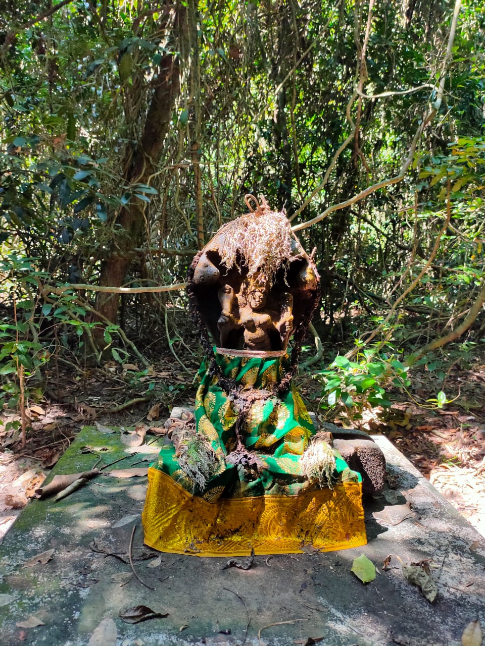 Sarppakalam and Snake Dance: Kerala’s Age-Old Tradition of Serpent ...