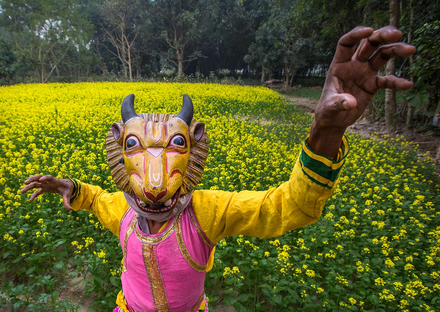 Gomira: Mask Dance of North Bengal | Sahapedia