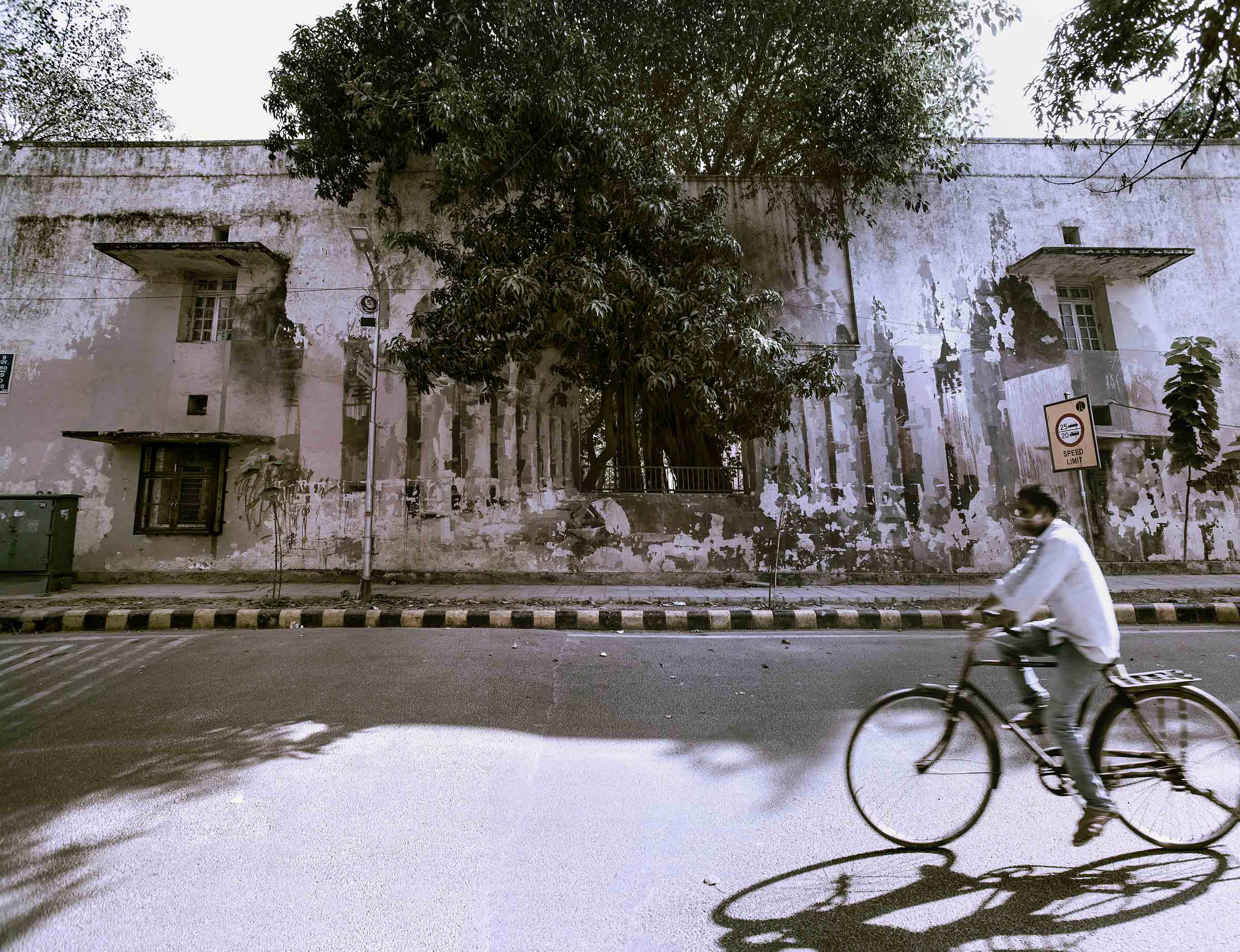 Art for All: Street Art at Lodhi Colony | Sahapedia