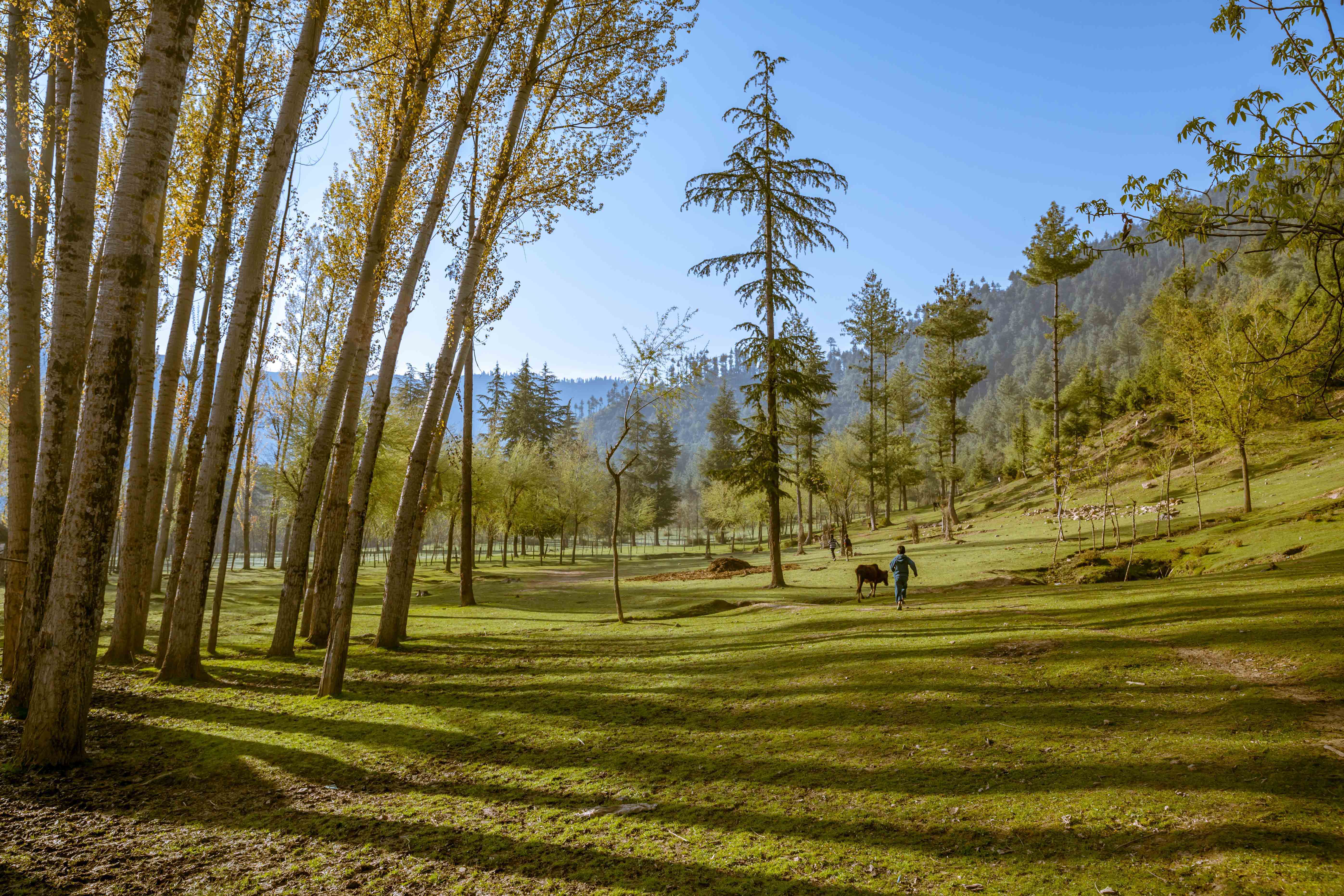 Life in the Lolab Valley | Sahapedia