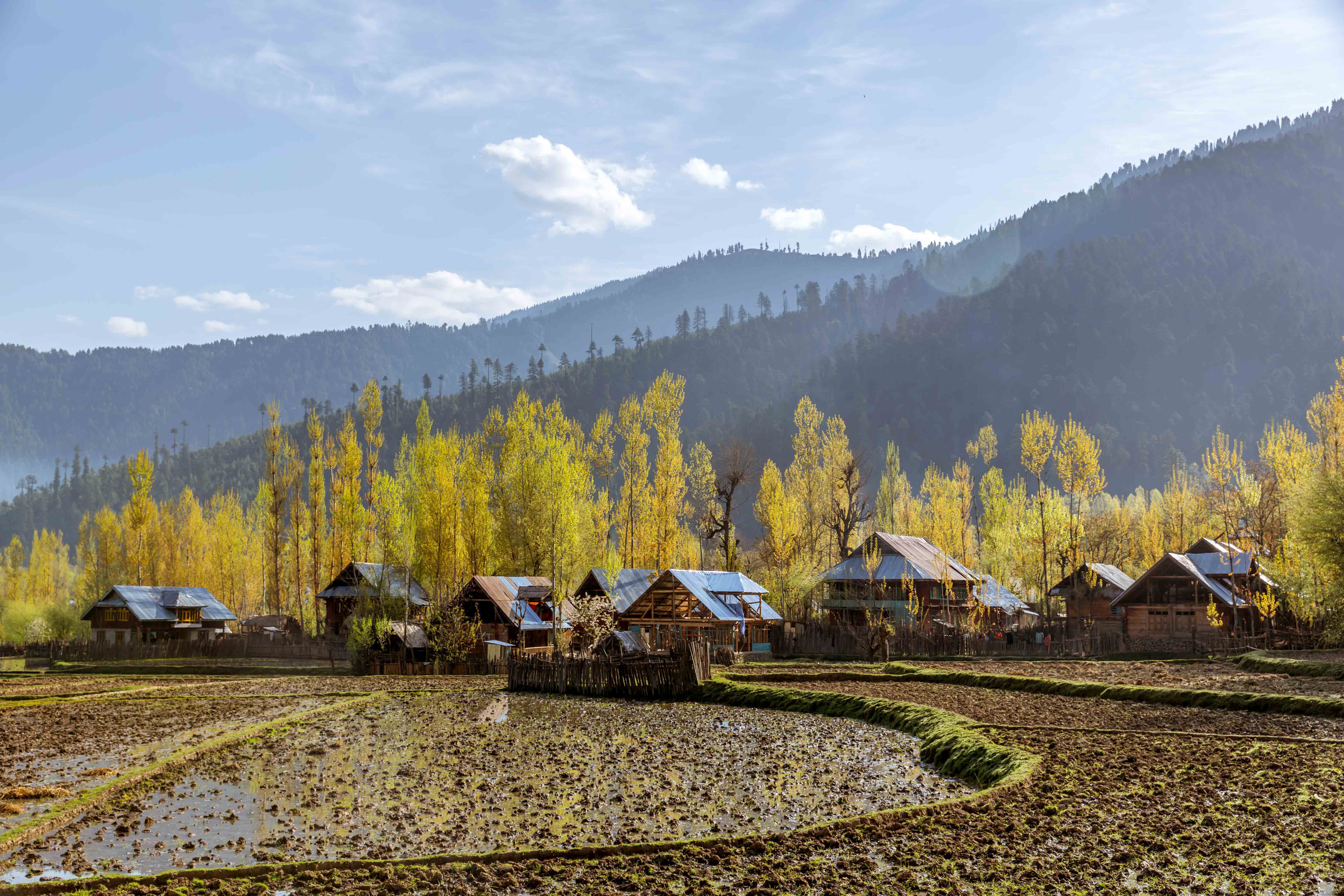 Life in the Lolab Valley | Sahapedia