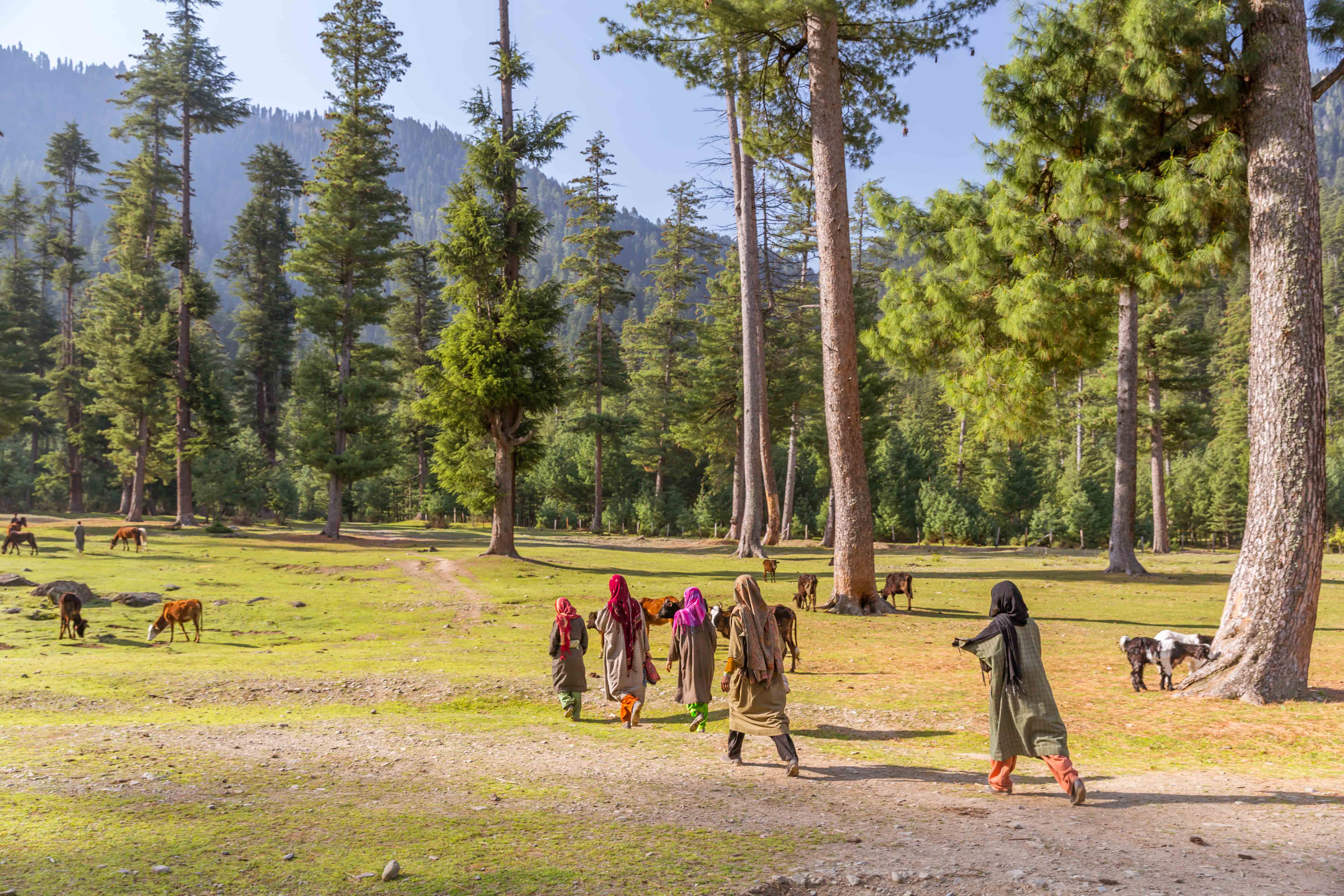 Life in the Lolab Valley | Sahapedia