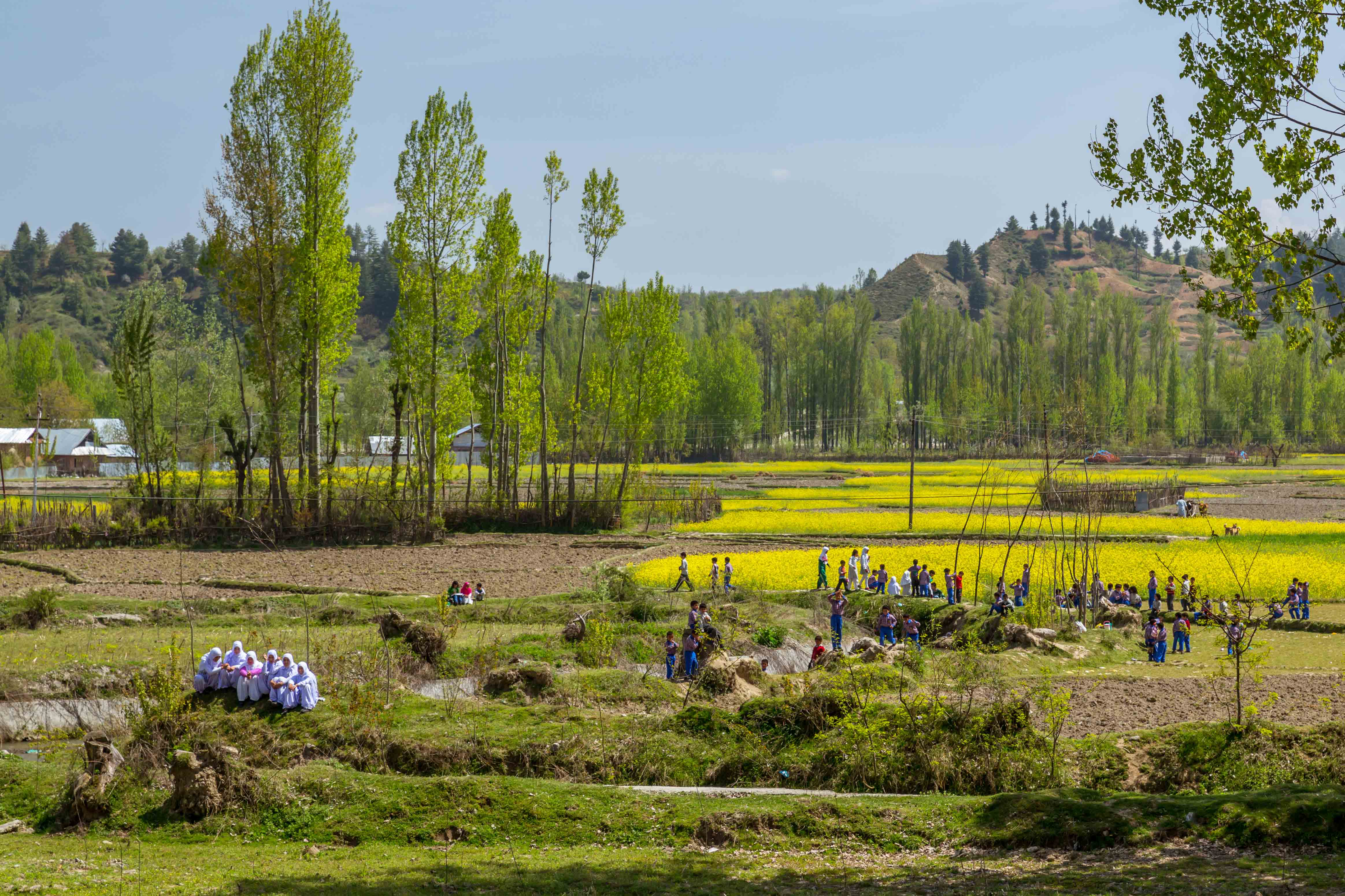 Life in the Lolab Valley | Sahapedia