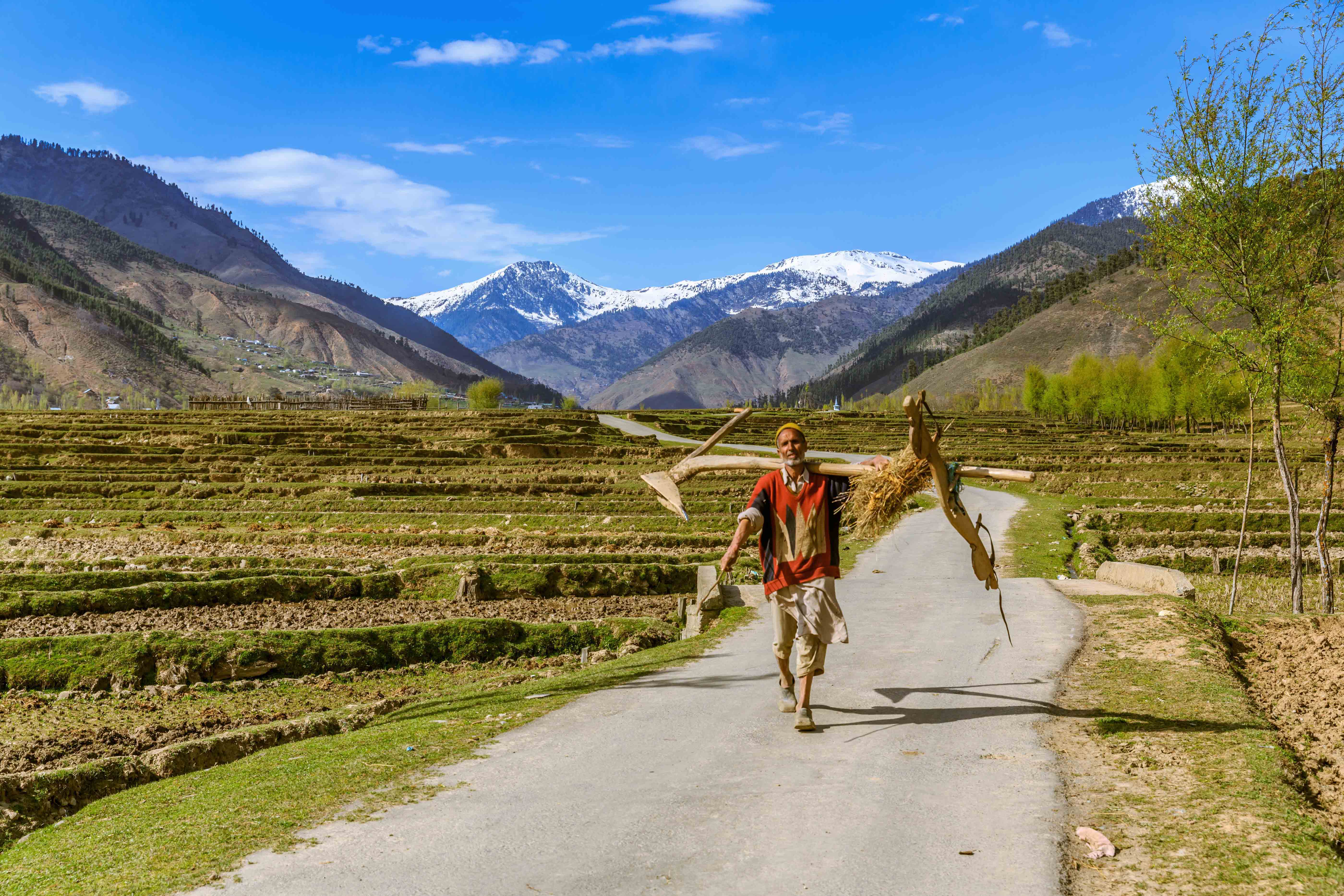 Life in the Lolab Valley | Sahapedia