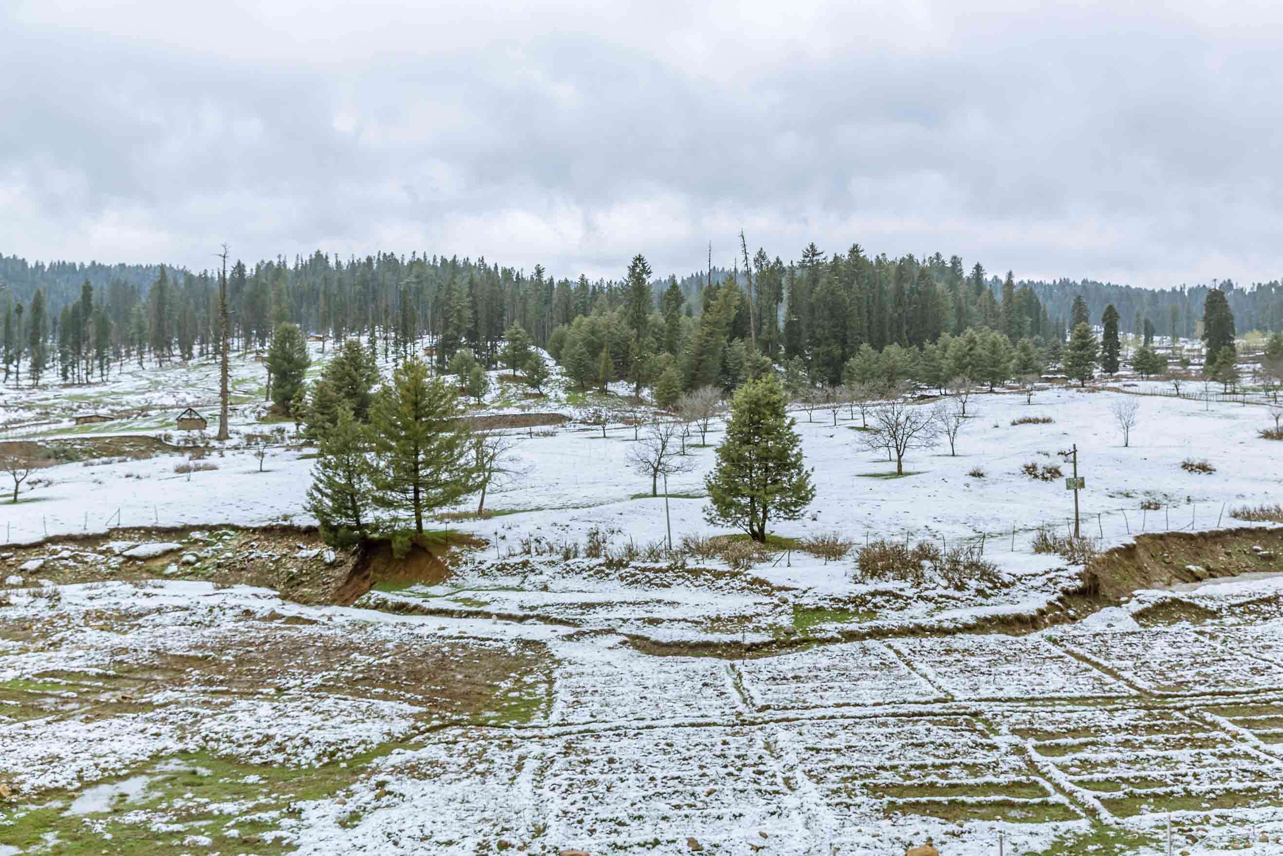 Life in the Lolab Valley | Sahapedia