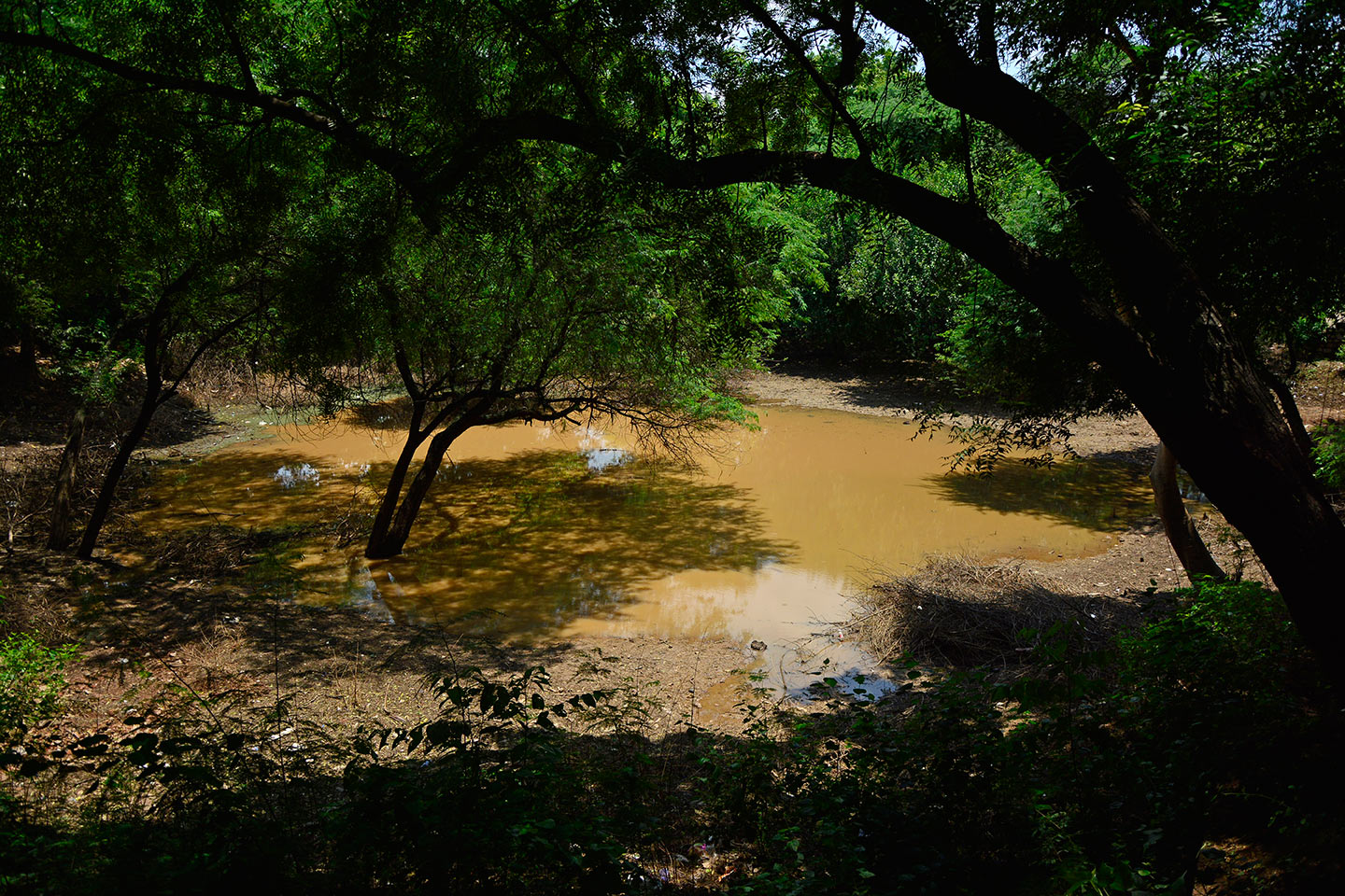 Mehrauli Archaeological Park II | Sahapedia
