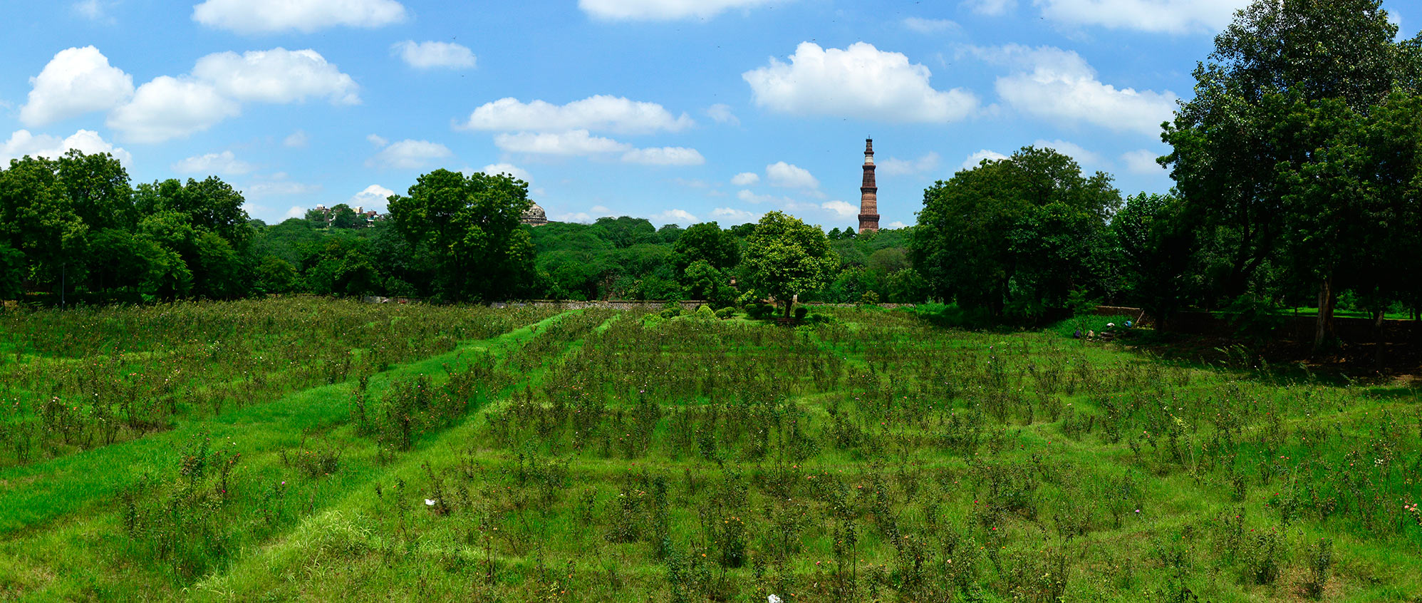 Mehrauli Archaeological Park II | Sahapedia