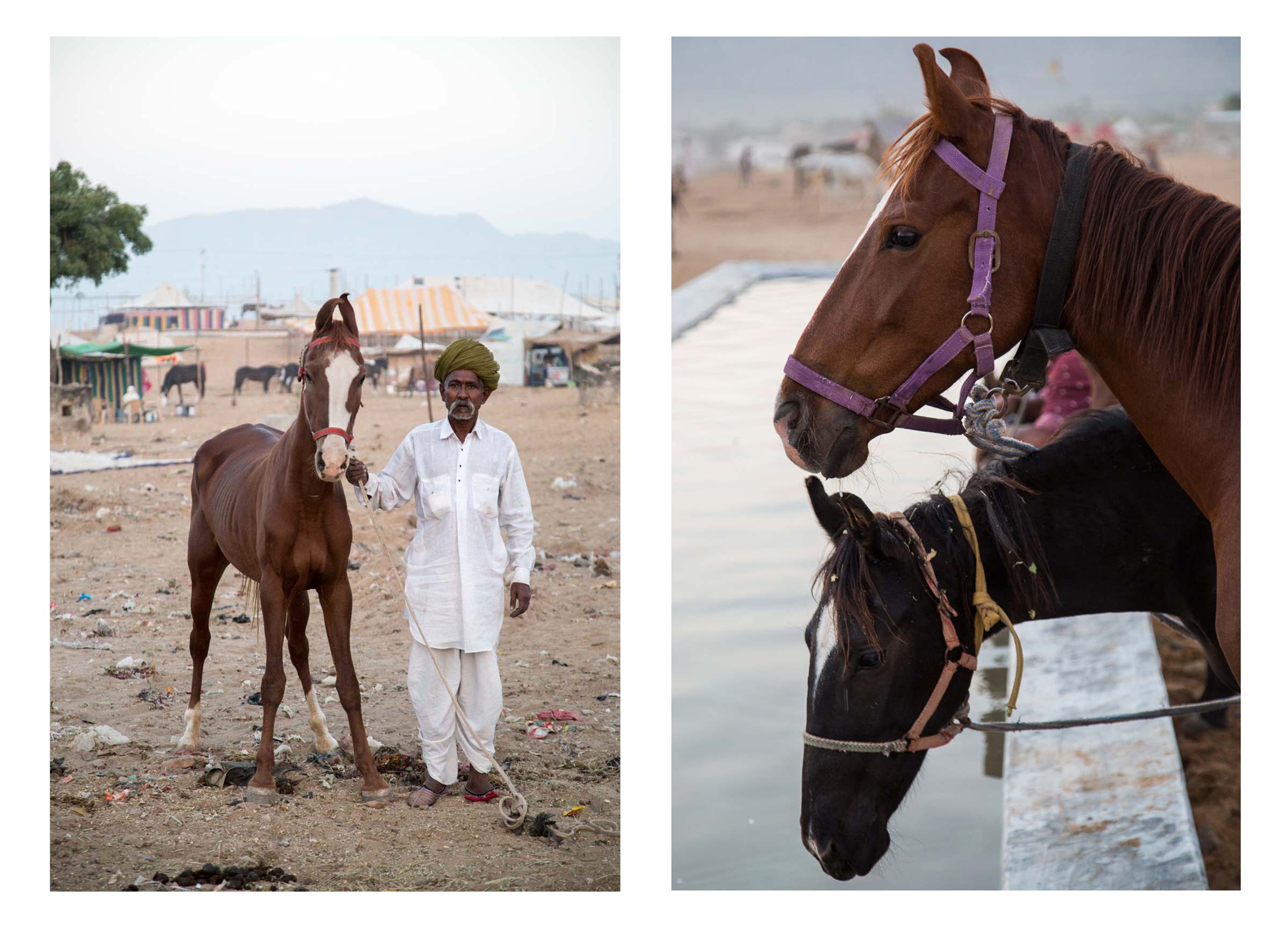 Pushkar: A Changing World | Sahapedia