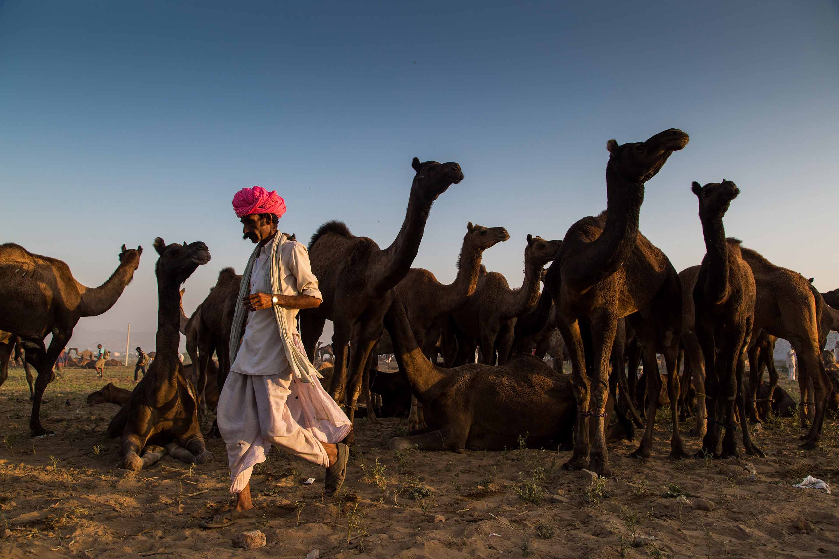 Pushkar: A Changing World | Sahapedia