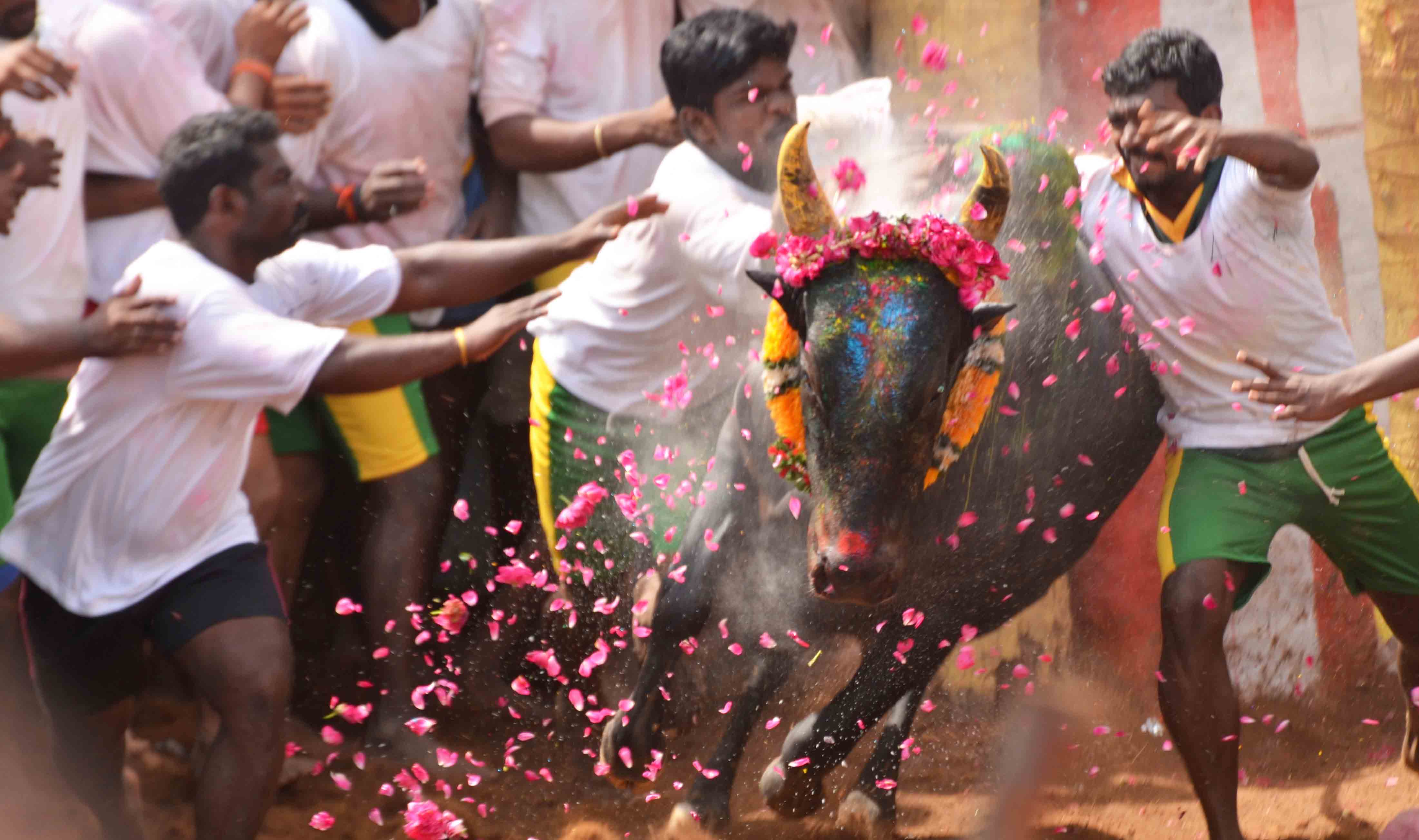 Festivals: A Celebration of Hope | Sahapedia