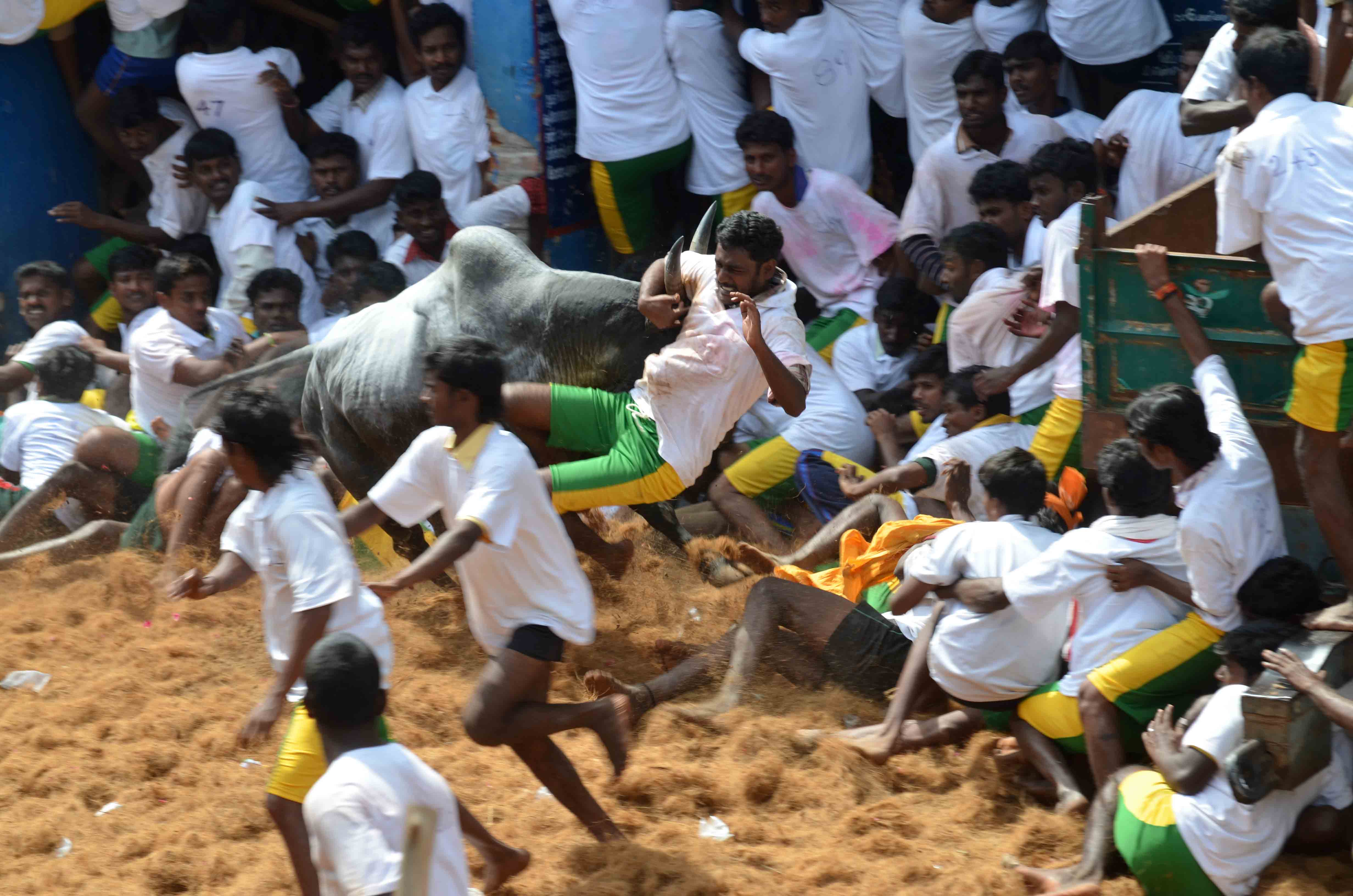 Festivals: A Celebration of Hope | Sahapedia