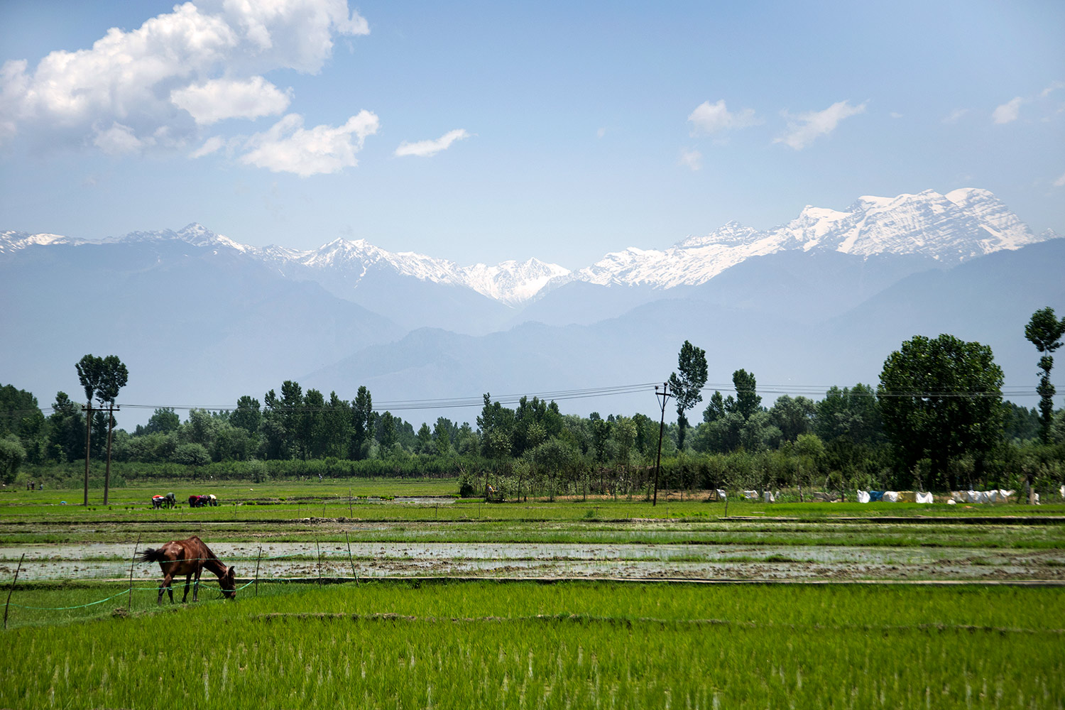 Eternal Witness of Kashmir Valley: Tracing the Jhelum River | Sahapedia