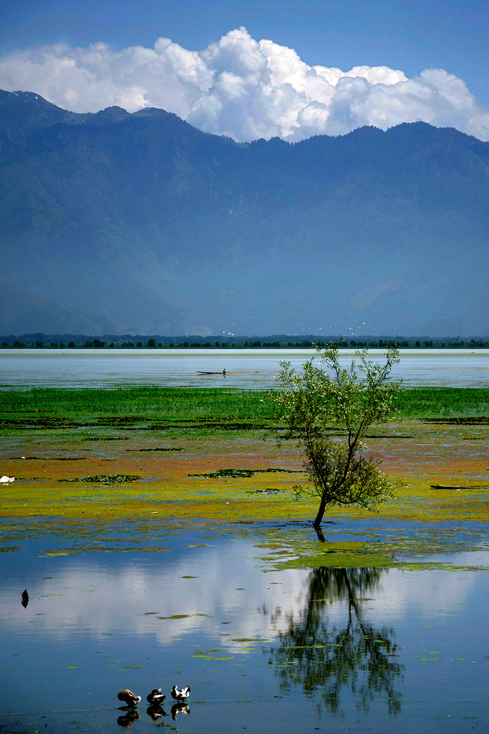 Eternal Witness of Kashmir Valley: Tracing the Jhelum River | Sahapedia