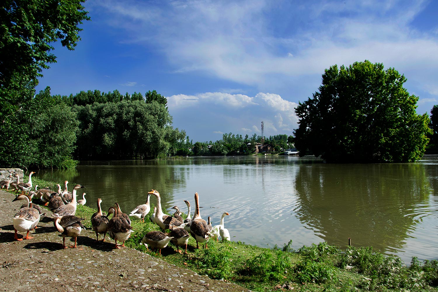 Eternal Witness of Kashmir Valley: Tracing the Jhelum River | Sahapedia