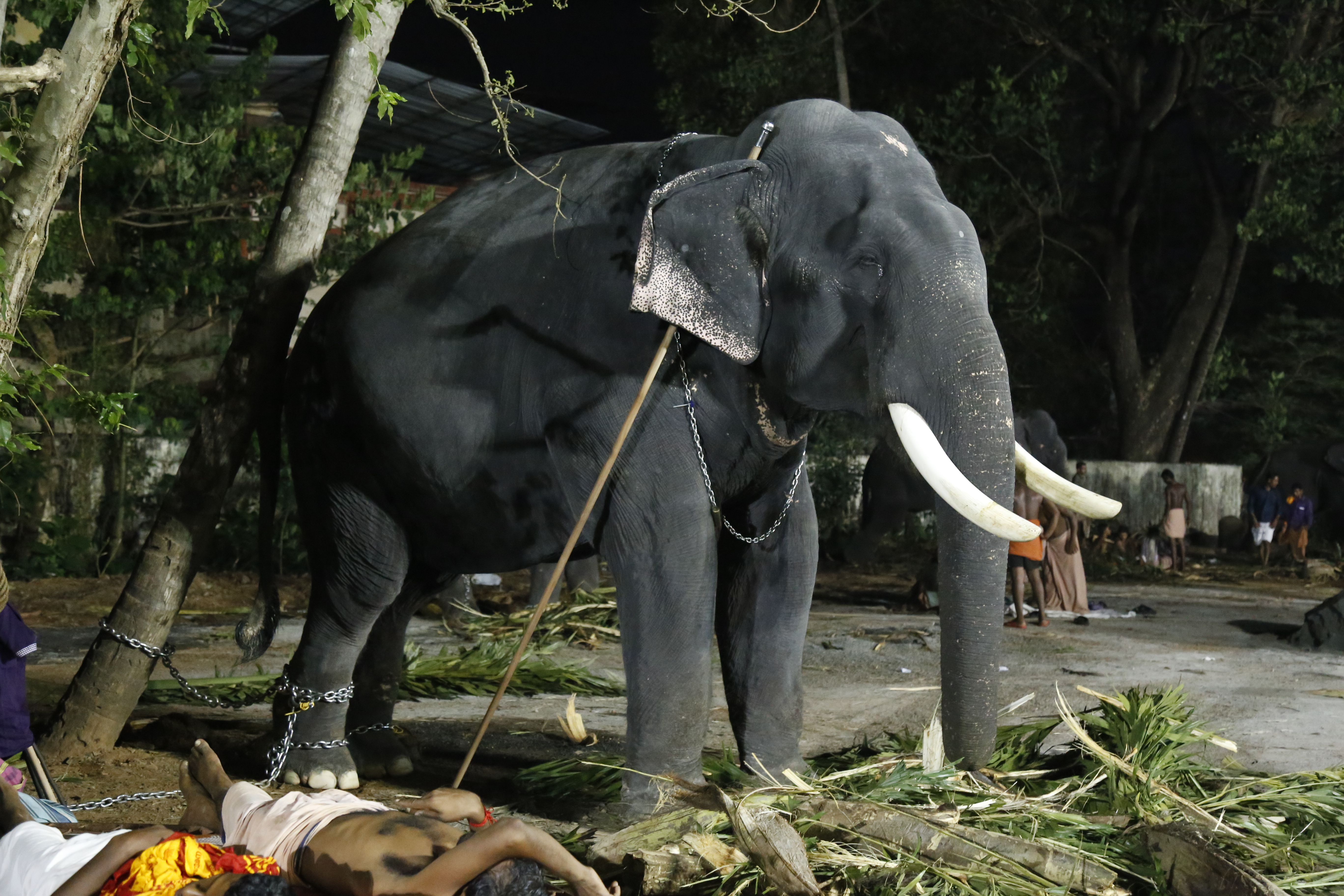 Thrissur Pooram | Sahapedia