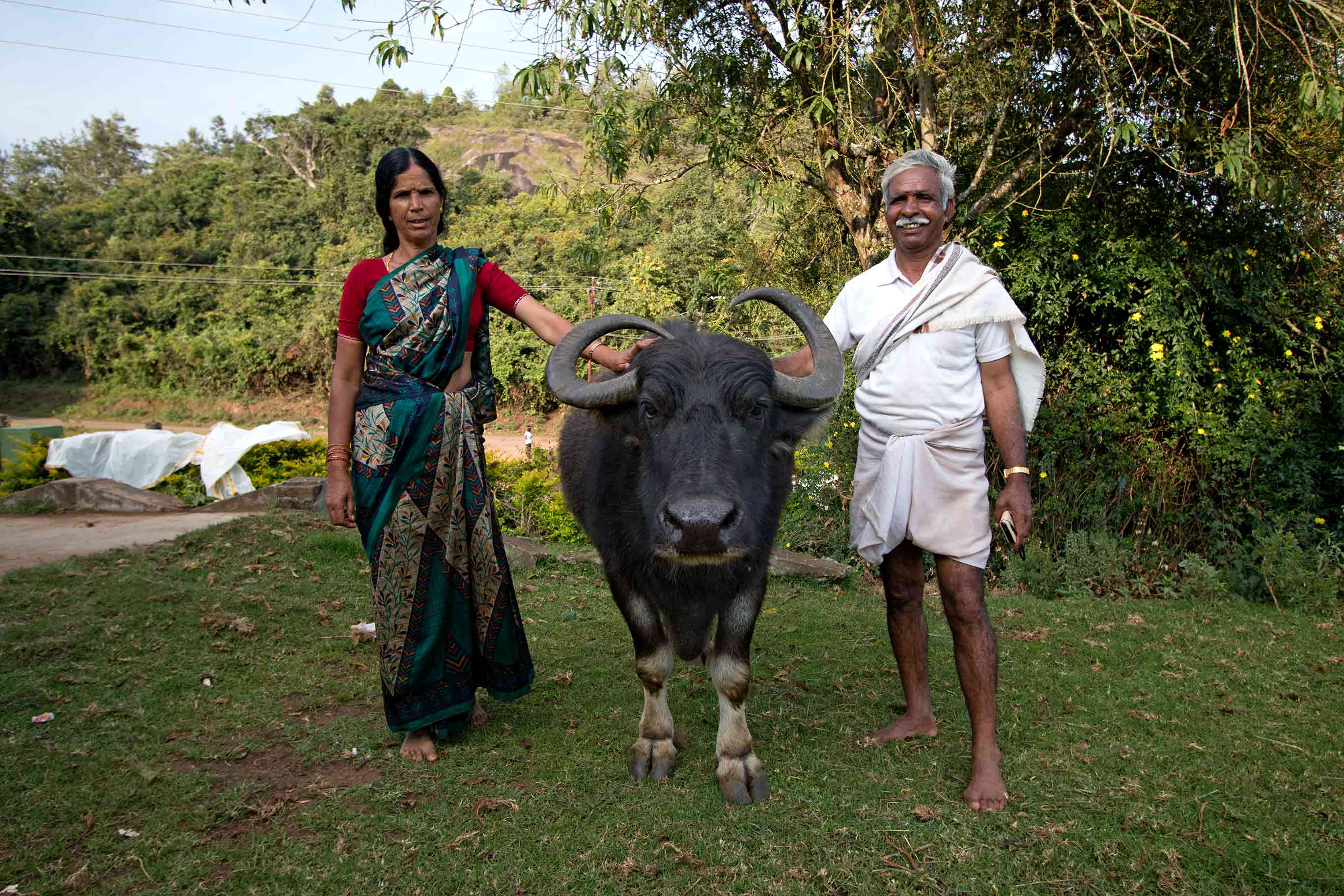 The Toda People: Guardians of the Nilgiris | Sahapedia