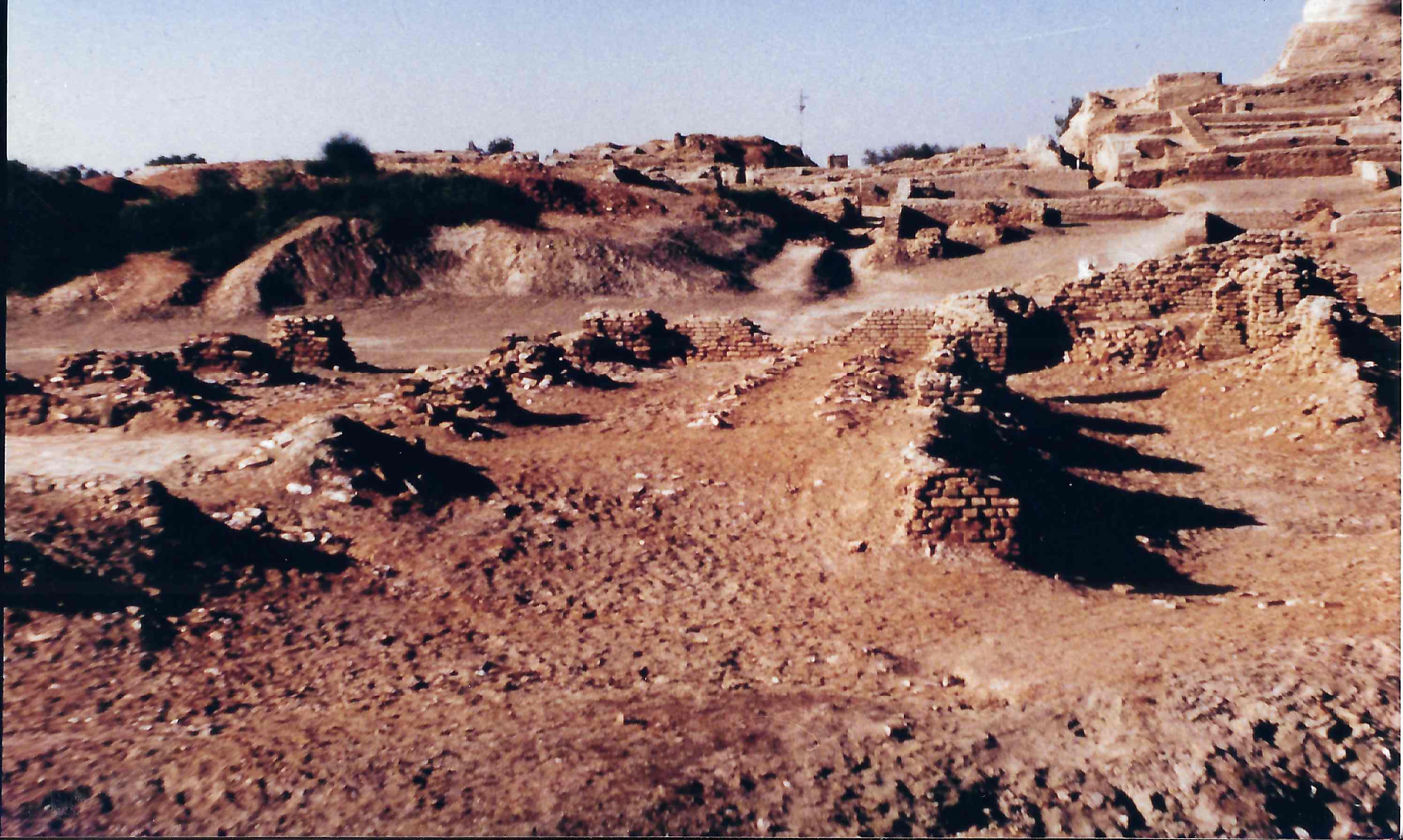 Images of Harappan Relics | Sahapedia