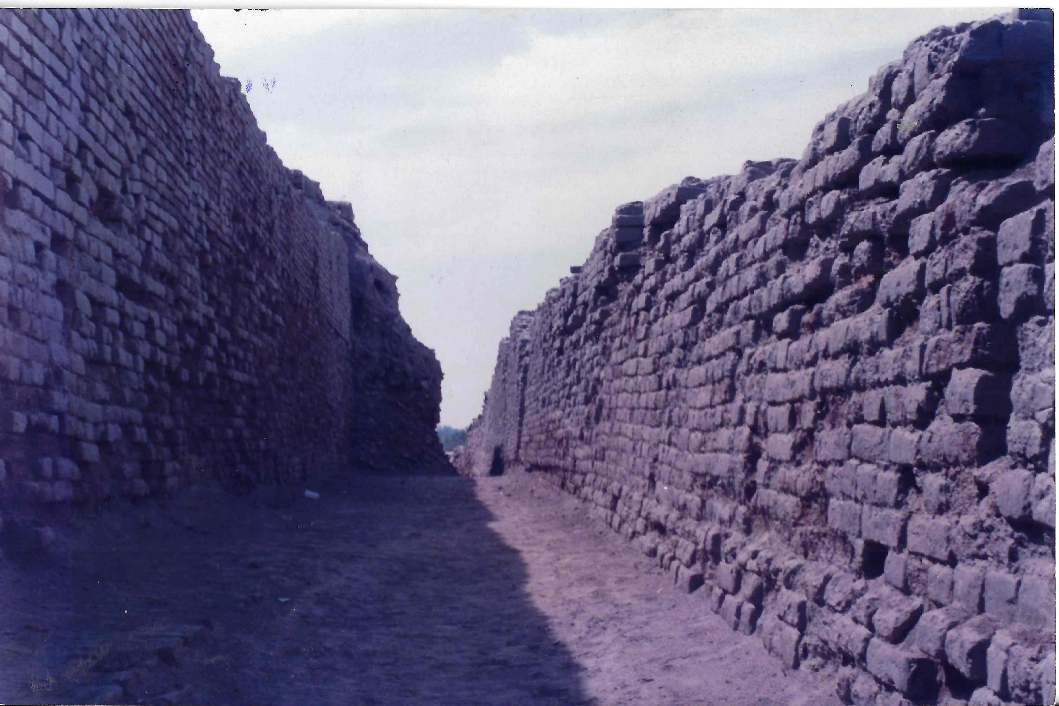 Images of Harappan Relics | Sahapedia