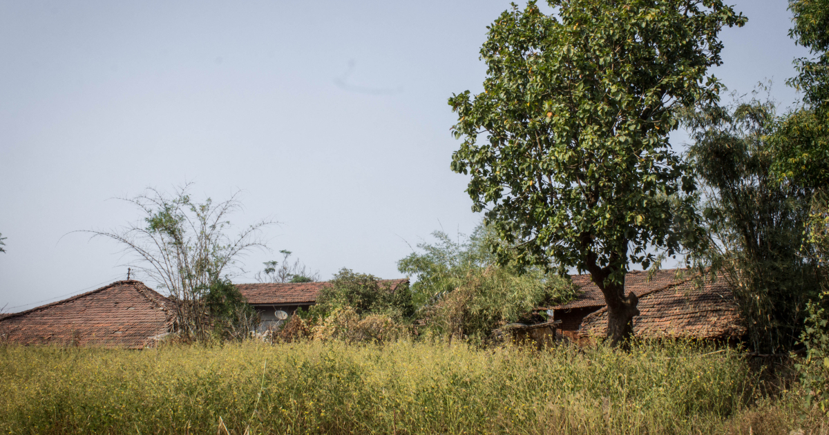 From Flower to Spirit: How Moha Pervades Warli Lives | Sahapedia
