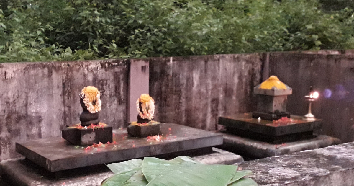 Sarppakalam and Snake Dance: Kerala’s Age-Old Tradition of Serpent ...