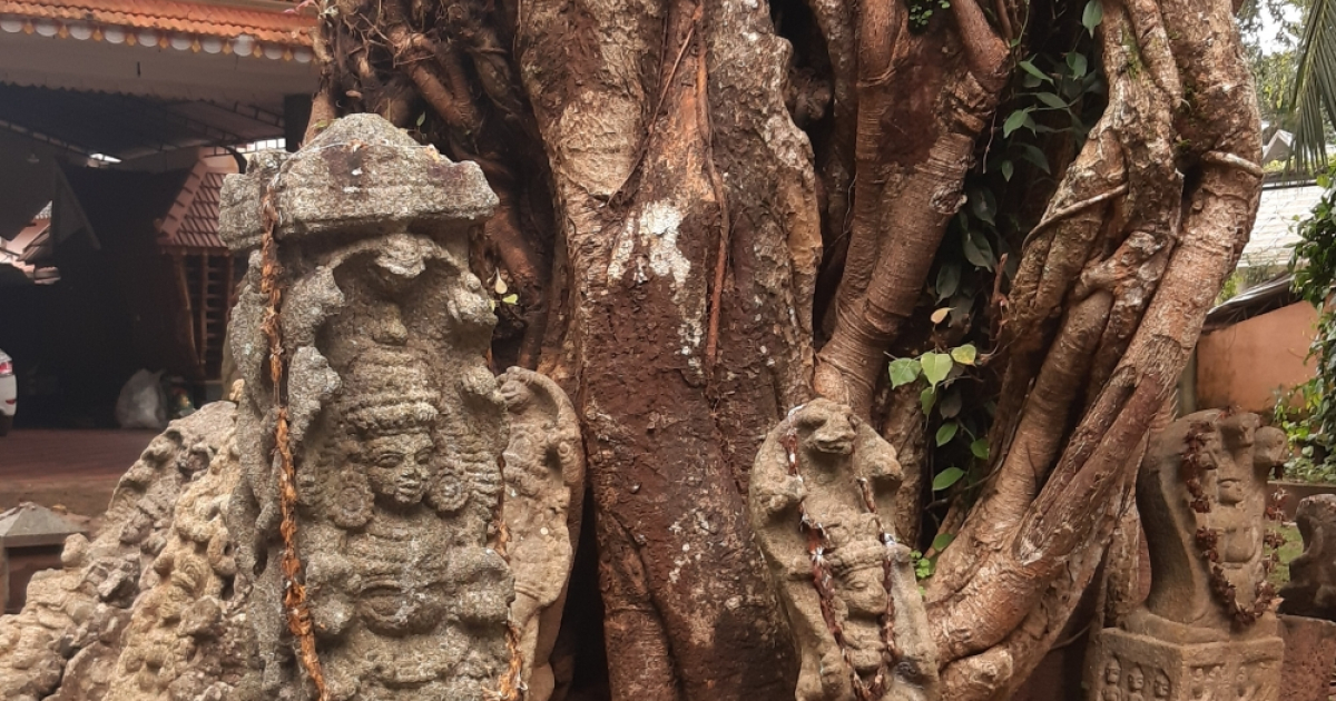 Cult of the Nagaraja: Importance of Serpent Worship in Kerala’s Culture ...