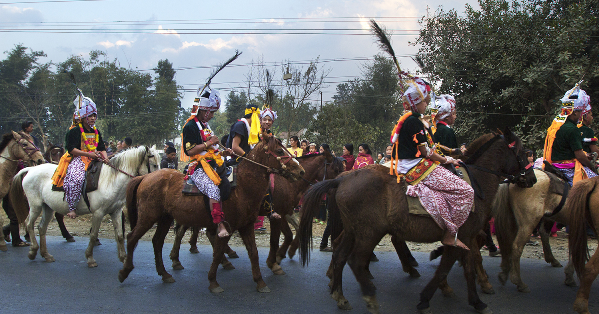 Manipuri Ponies & Origins of Polo | Sahapedia