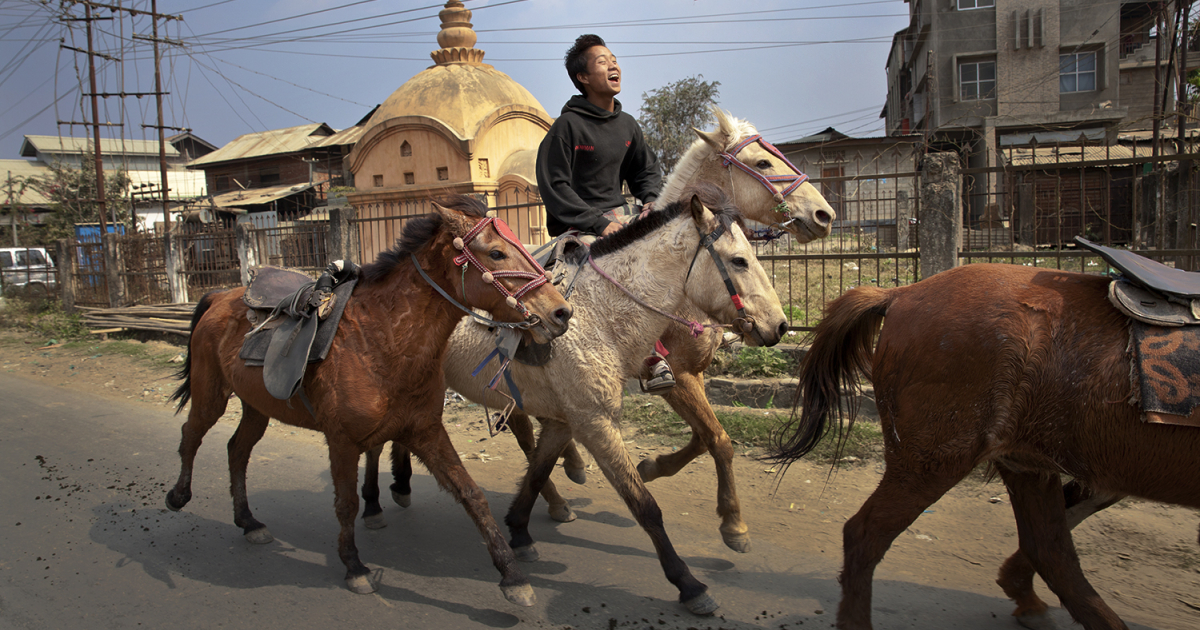 Manipuri Ponies & Origins of Polo | Sahapedia