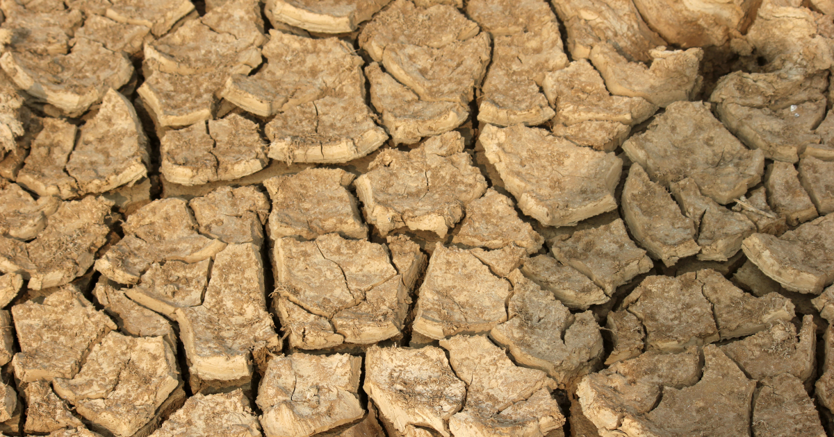 Banni Landscape | Sahapedia