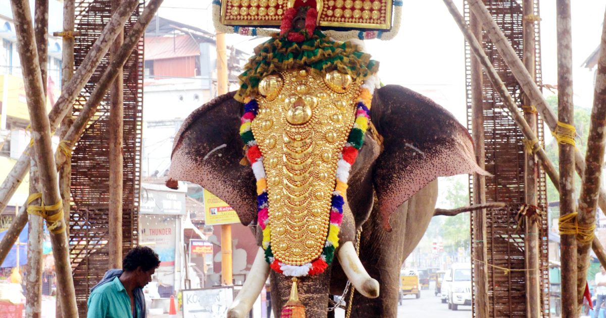 Elephants in Rituals and Festivals of Kerala | Sahapedia