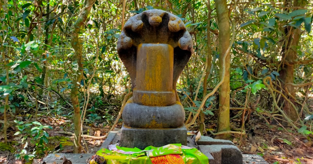 Sarppakalam and Snake Dance: Kerala’s Age-Old Tradition of Serpent ...